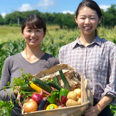 旬彩ファームへのレビュー商品福島県食べチョク産地直送 産直 お取り寄せ通販 農家漁師から旬の食材を直送
