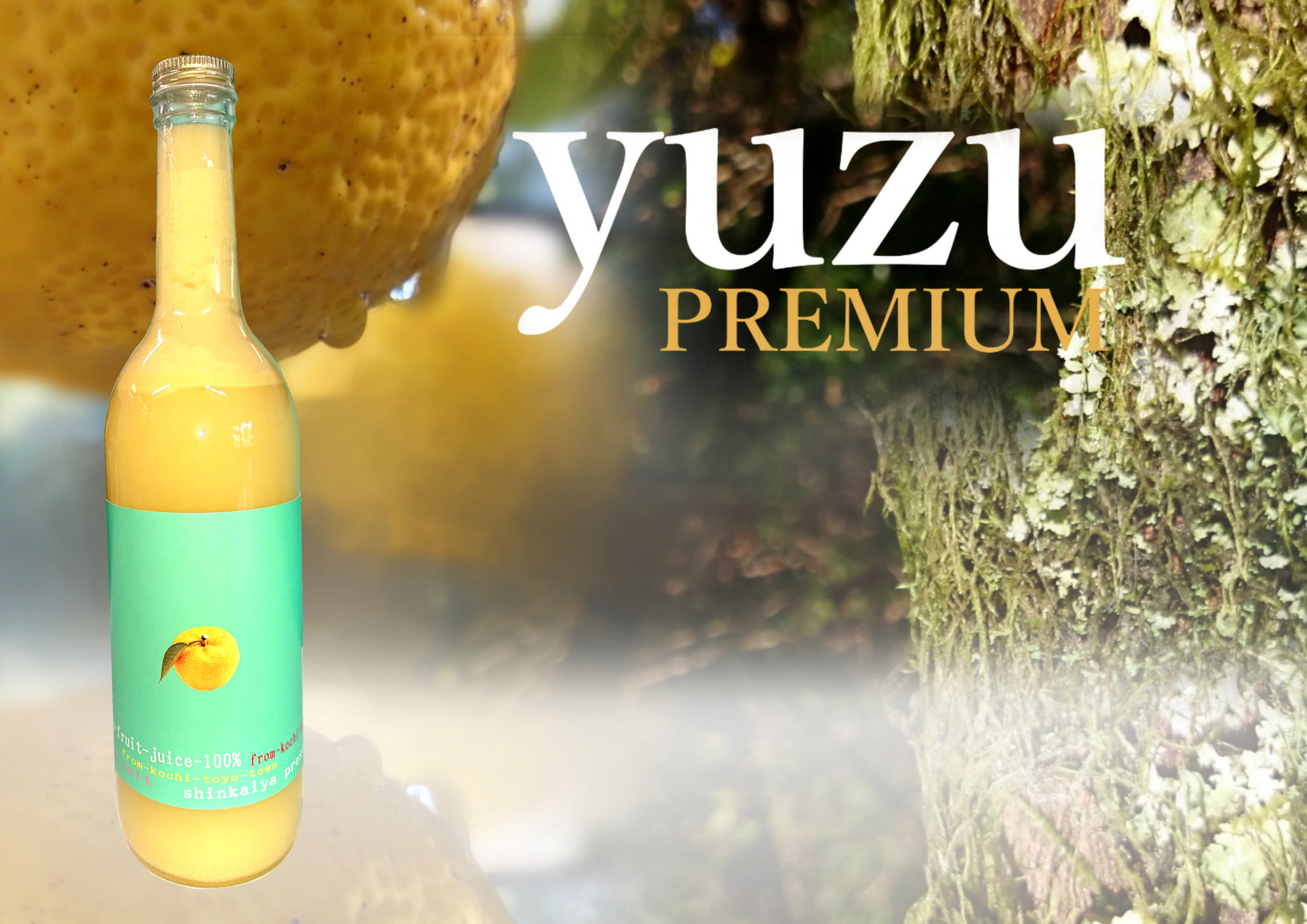 【冬ギフト】ゆず果汁100％（720ml・無塩）1本セット 本場高知県東洋町産！：高知県産のみかん・柑橘類｜食べチョク｜産地直送(産直)お取り寄せ通販 - 農家・漁師から旬の食材を直送