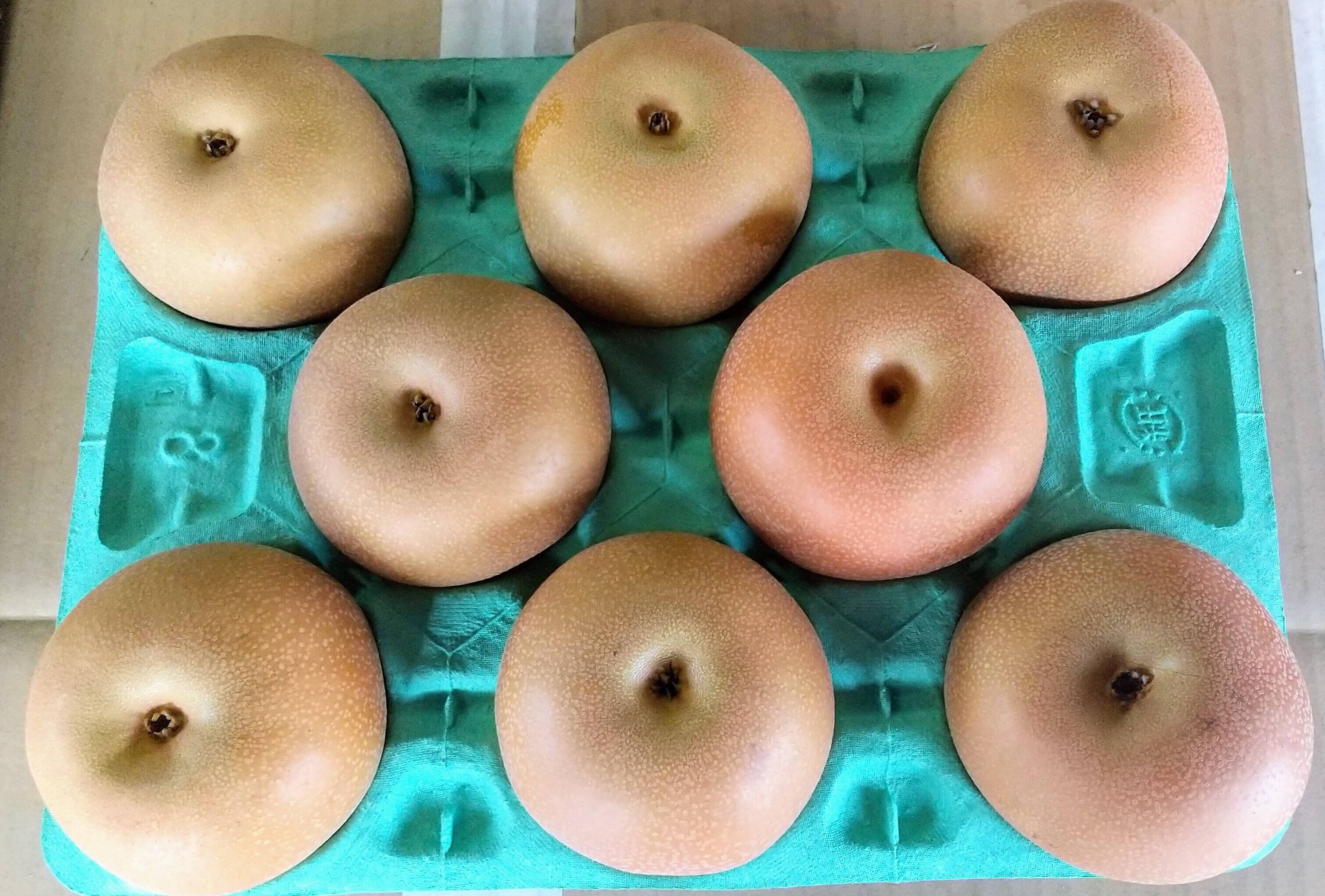 あきづき 3kg 4Lサイズ(8玉入り)：千葉県産のあきづき｜食べチョク｜産地直送(産直)お取り寄せ通販 - 農家・漁師から旬の食材を直送