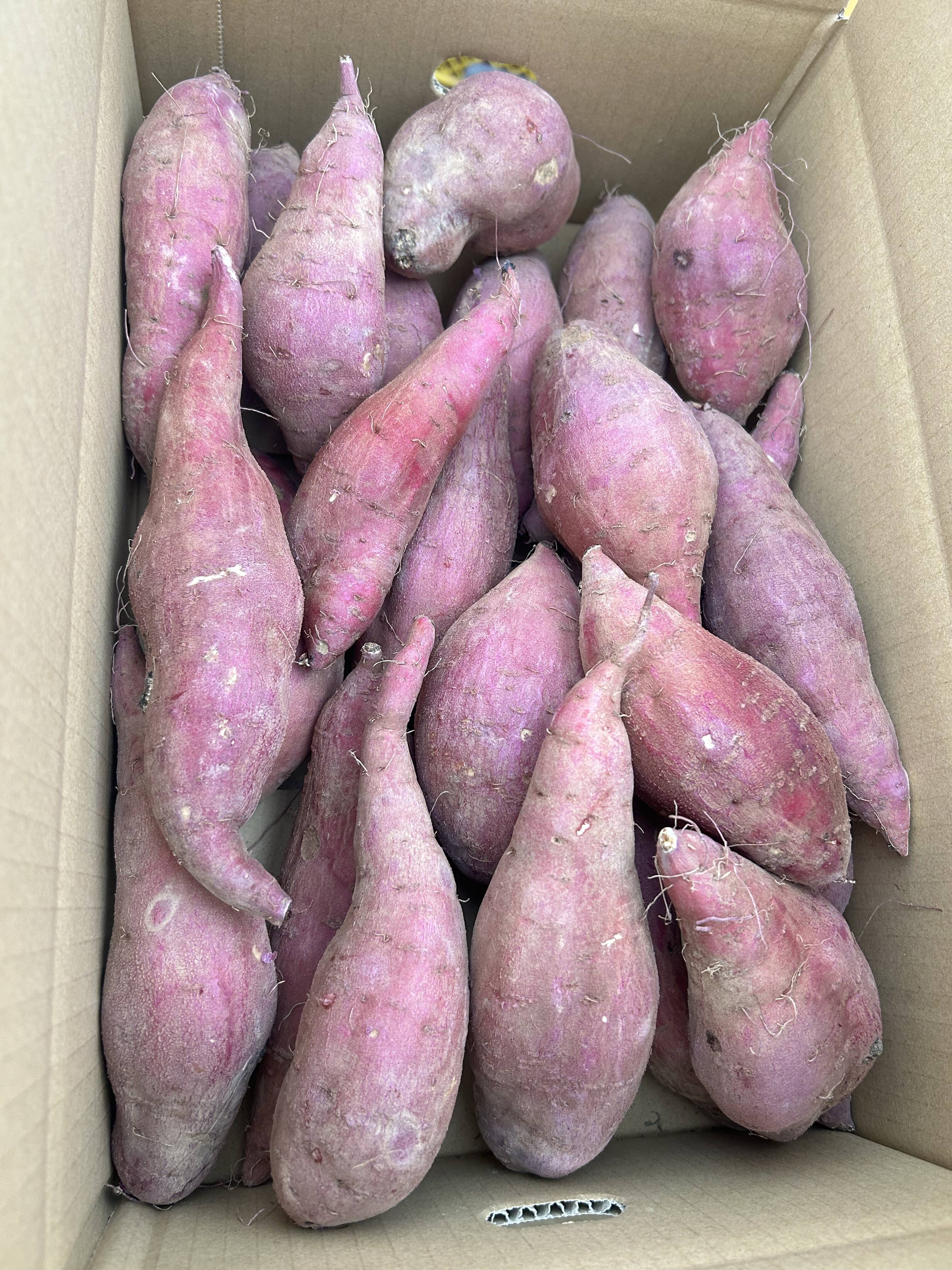 さつまいも【紅はるか】S～Mサイズ 9kg(4.5kg×2箱)：愛知県産のべにはるか｜食べチョク｜産地直送(産直)お取り寄せ通販 - 農家・漁師から旬の食材を直送