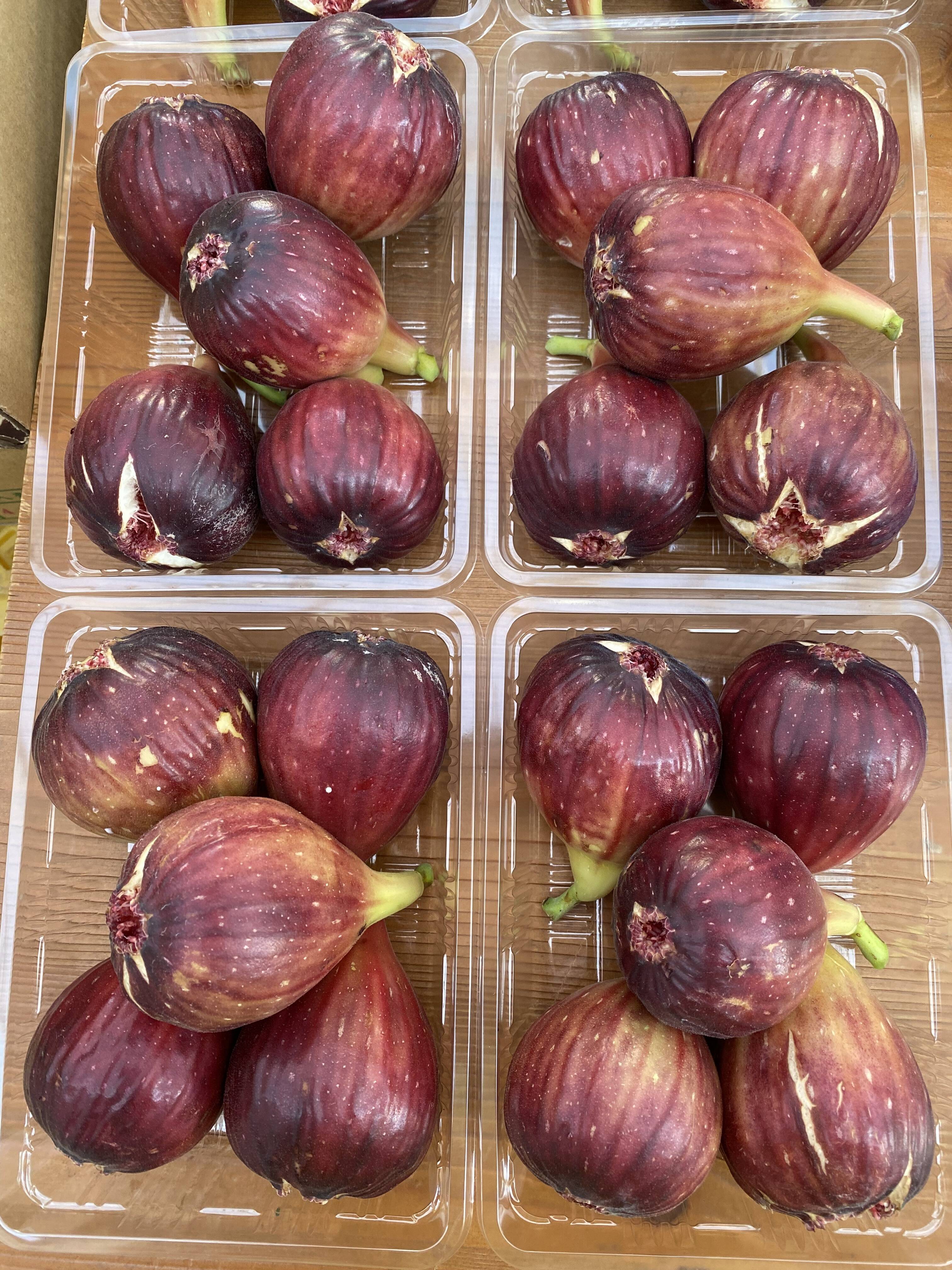 樹上完熟いちじく！朝採り！和歌山県産イチジク 2箱（500g×8P）：和歌山県産のその他いちじく｜食べチョク｜産地直送(産直)お取り寄せ通販 - 農家・漁師から旬の食材を直送