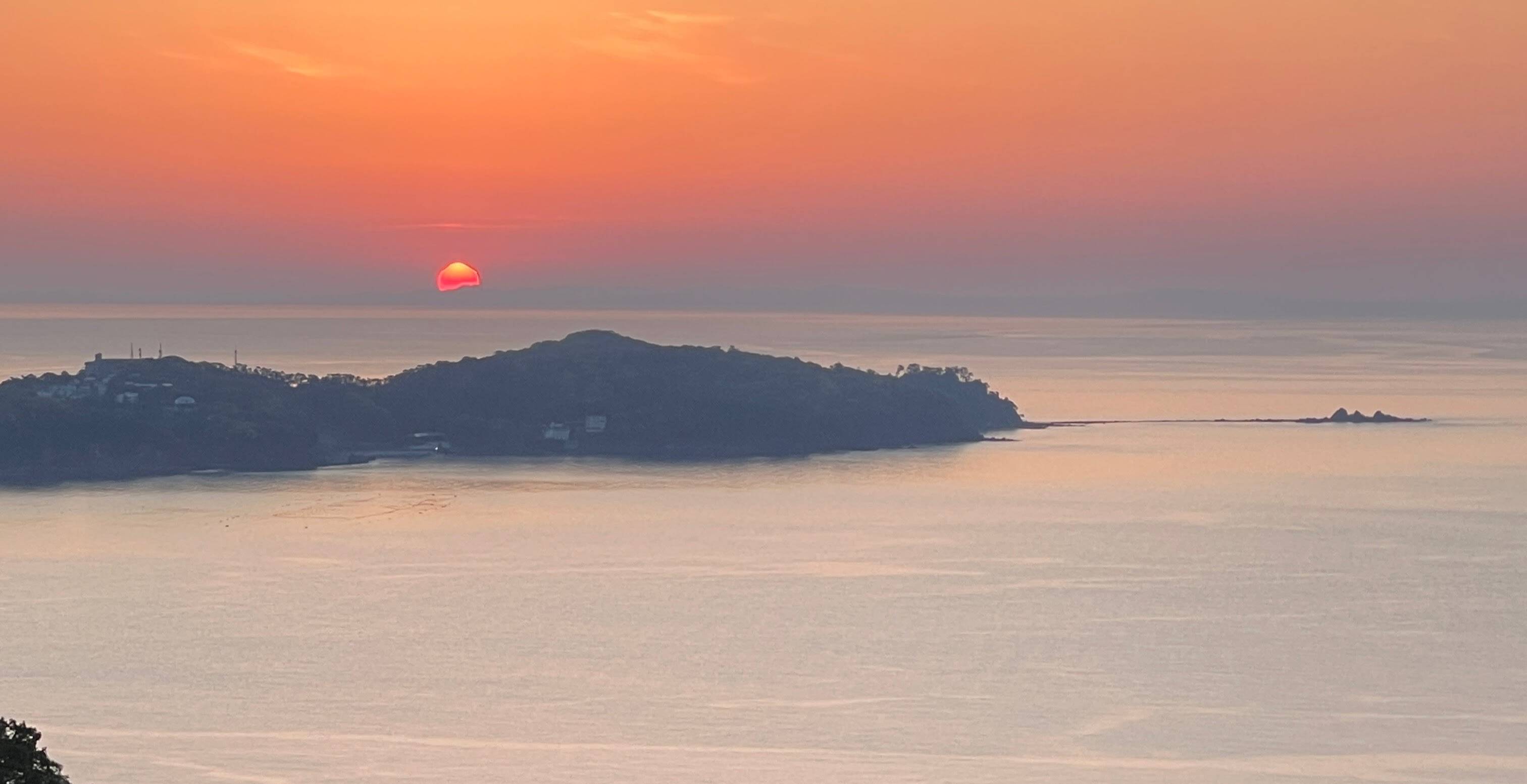 熱海柑橘農園 ATAMI de LEMON®へのレビュー・商品：静岡県｜食べチョク｜産地直送(産直)お取り寄せ通販 - 農家・漁師から旬の食材を直送