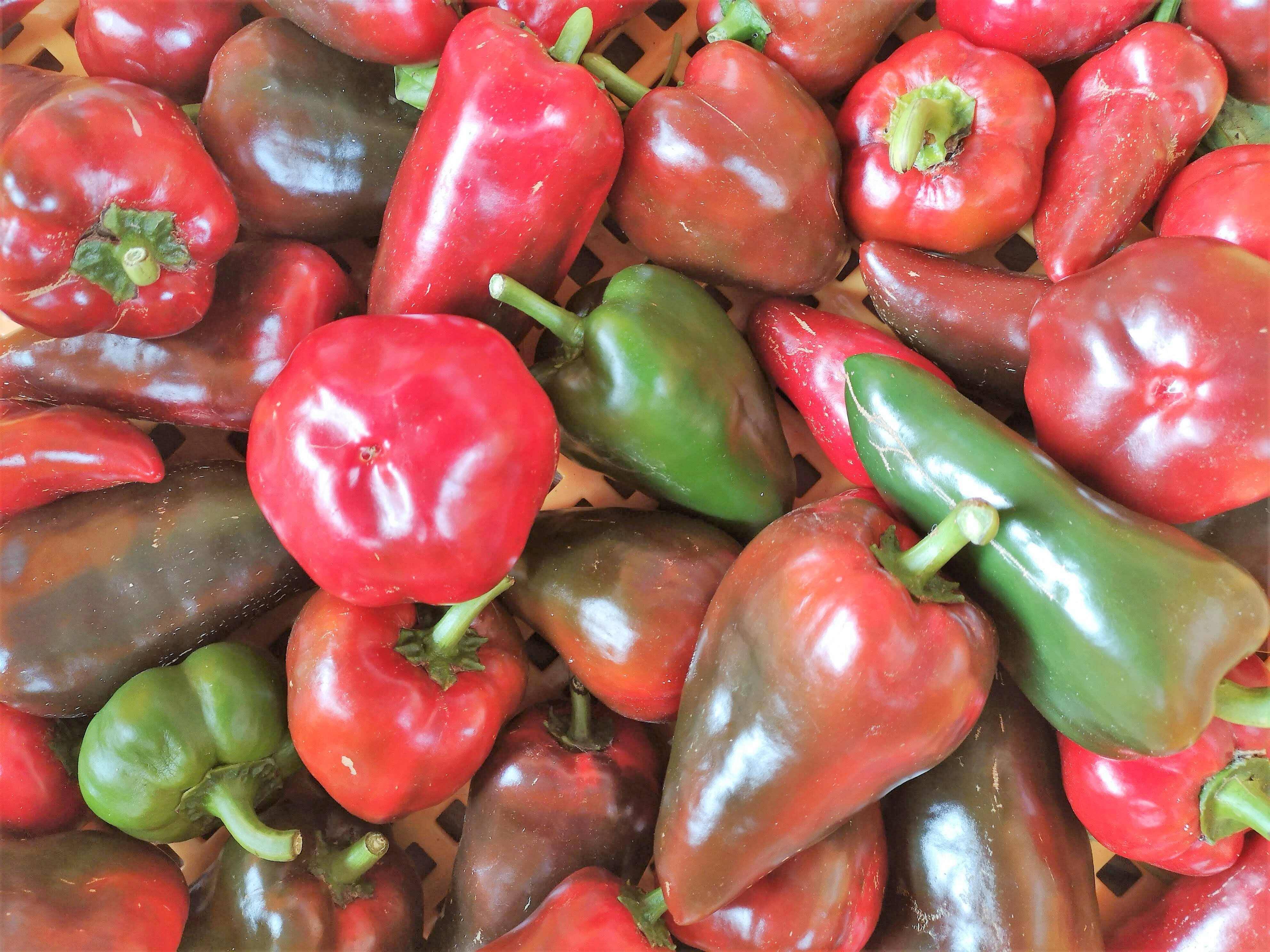 Happy Hapa Farm へのレビュー・商品：神奈川県｜食べチョク｜産地直送(産直)お取り寄せ通販 - 農家・漁師から旬の食材を直送