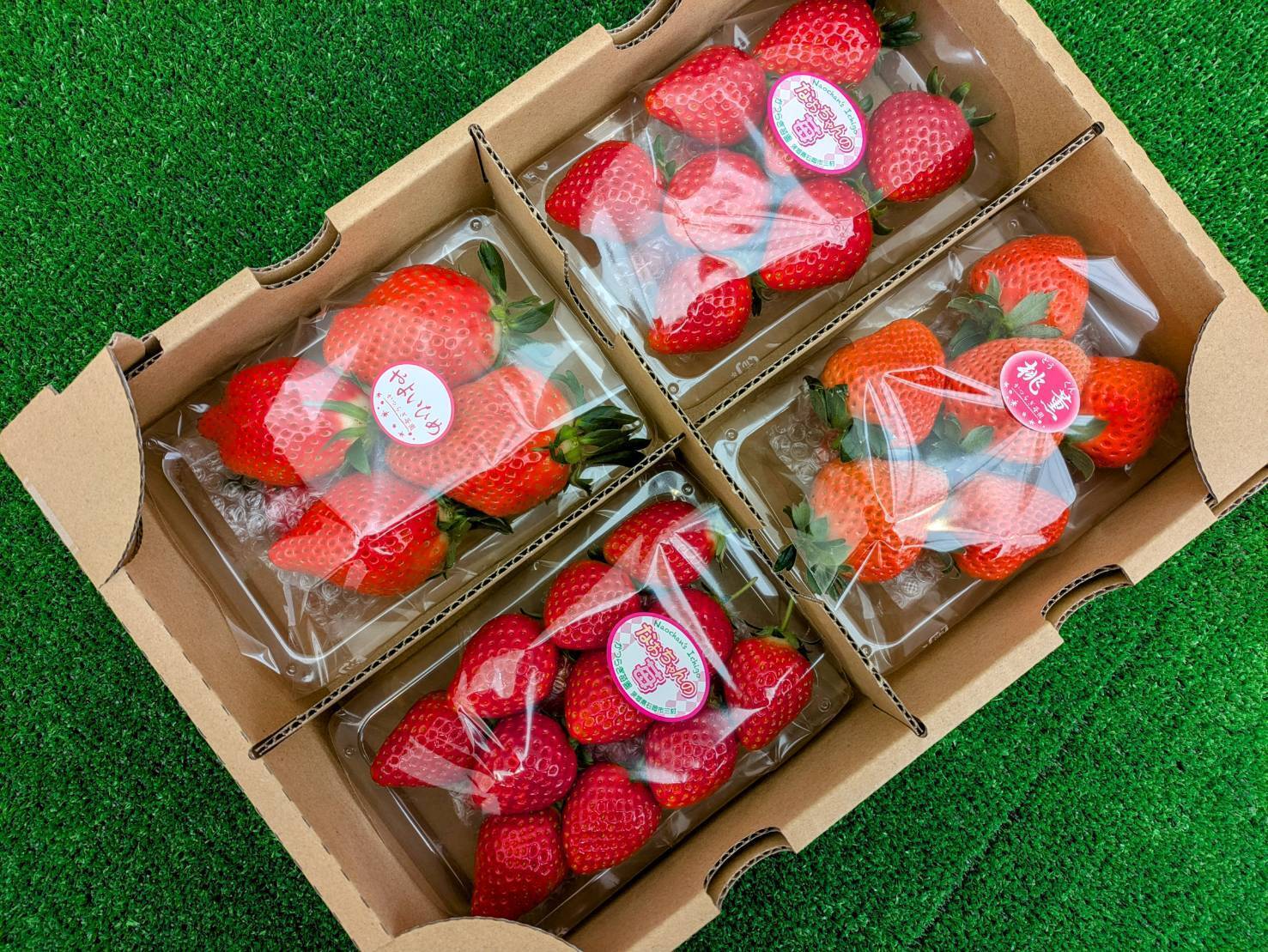 お楽しみ！3種のいちご食べ比べセット「とちおとめ 260g 2」・「やよいひめ 260g」・「桃薫 240g」：茨城県産のとちおとめ｜食べチョク｜産地直送(産直)お取り寄せ通販 - 農家・漁師 ...