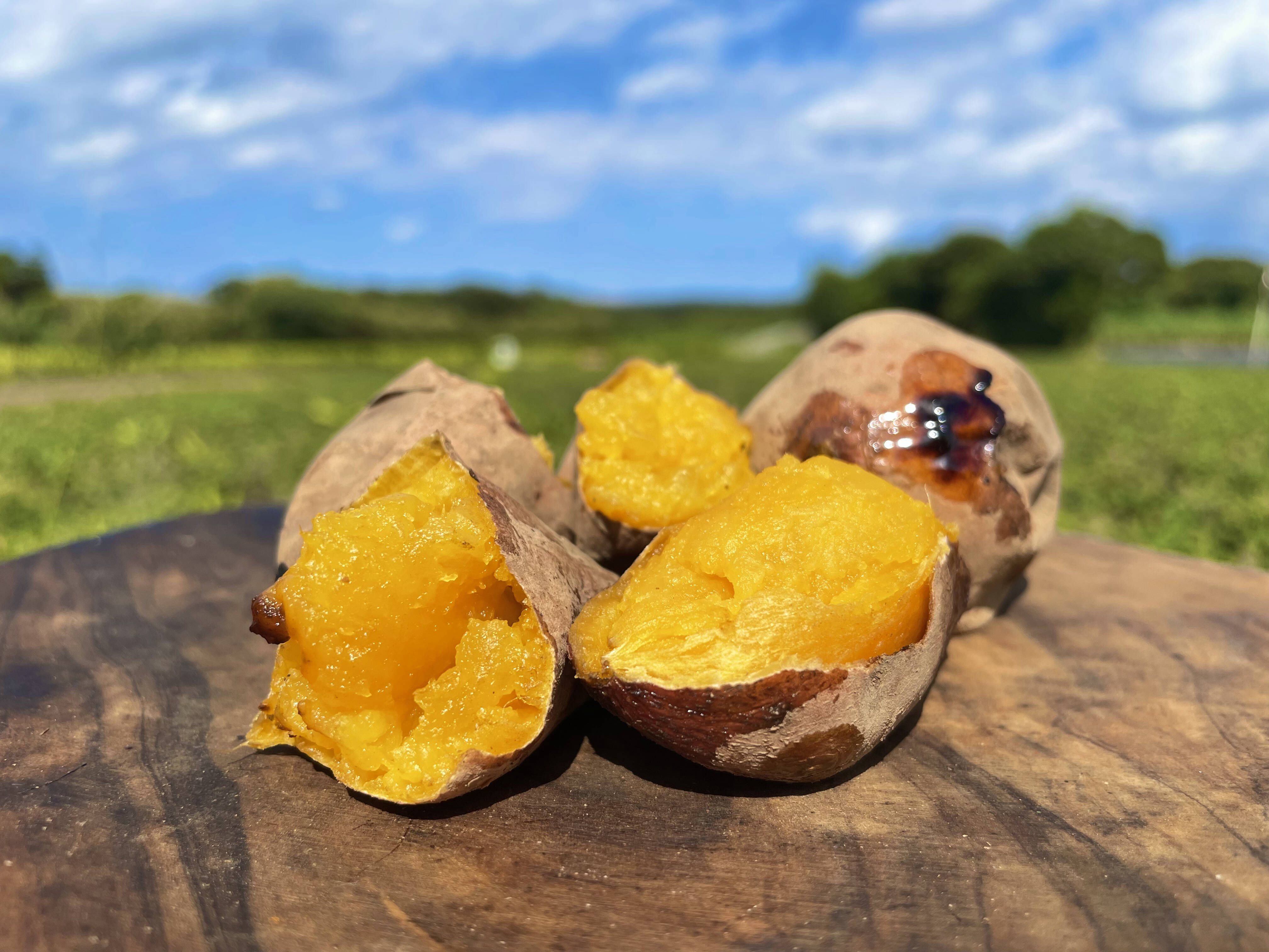 【絶品】aimo農園｜安納芋 2Sサイズ 2kg(箱別)：鹿児島県産の安納紅｜食べチョク｜産地直送(産直)お取り寄せ通販 - 農家・漁師から旬の食材を直送