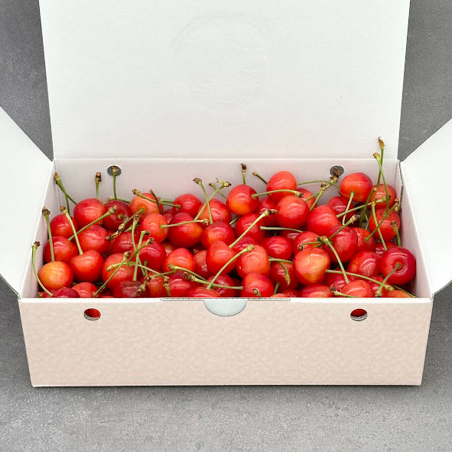 【先行予約】大玉さくらんぼ L～2L バラ 約700g：山梨県産の佐藤錦｜食べチョク｜産地直送(産直)お取り寄せ通販 - 農家・漁師から旬の食材を直送