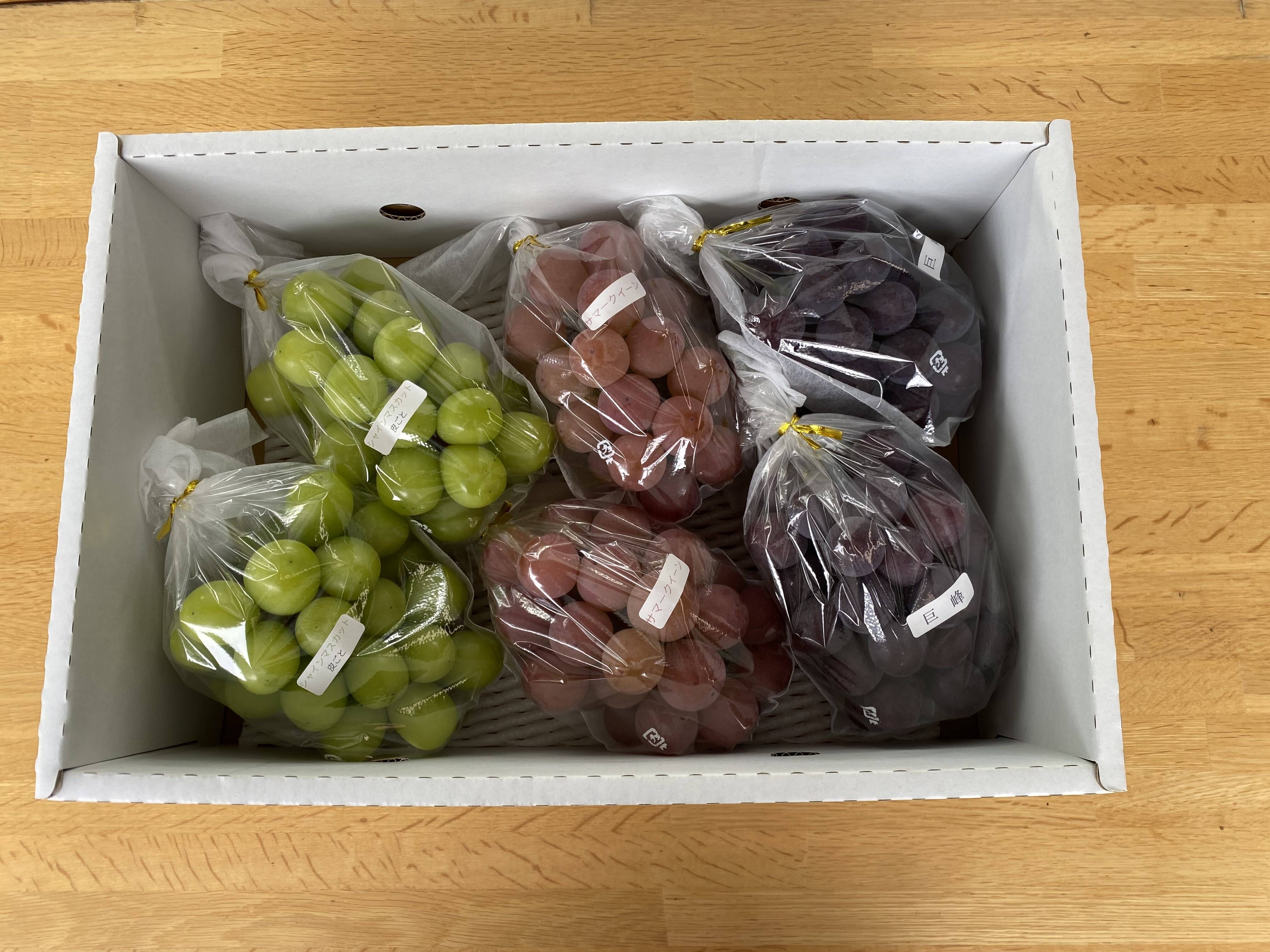 いろいろ食べられる！おまかせミックスぶどう『福島のブドウ』3kg（4〜8房）【贈答用】：福島県産のシャインマスカット｜食べチョク｜産地直送 ...