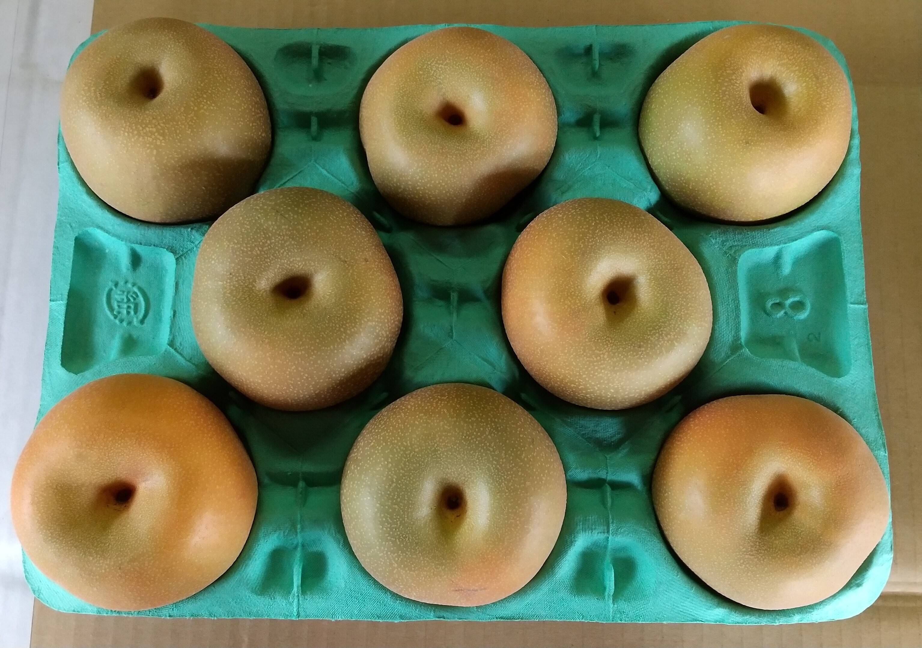 【9/3まで】【コンビニ決済不可】幸水 3kg 4Lサイズ(8玉入)：千葉県産の幸水｜食べチョク｜産地直送(産直)お取り寄せ通販 - 農家・漁師から旬の食材を直送