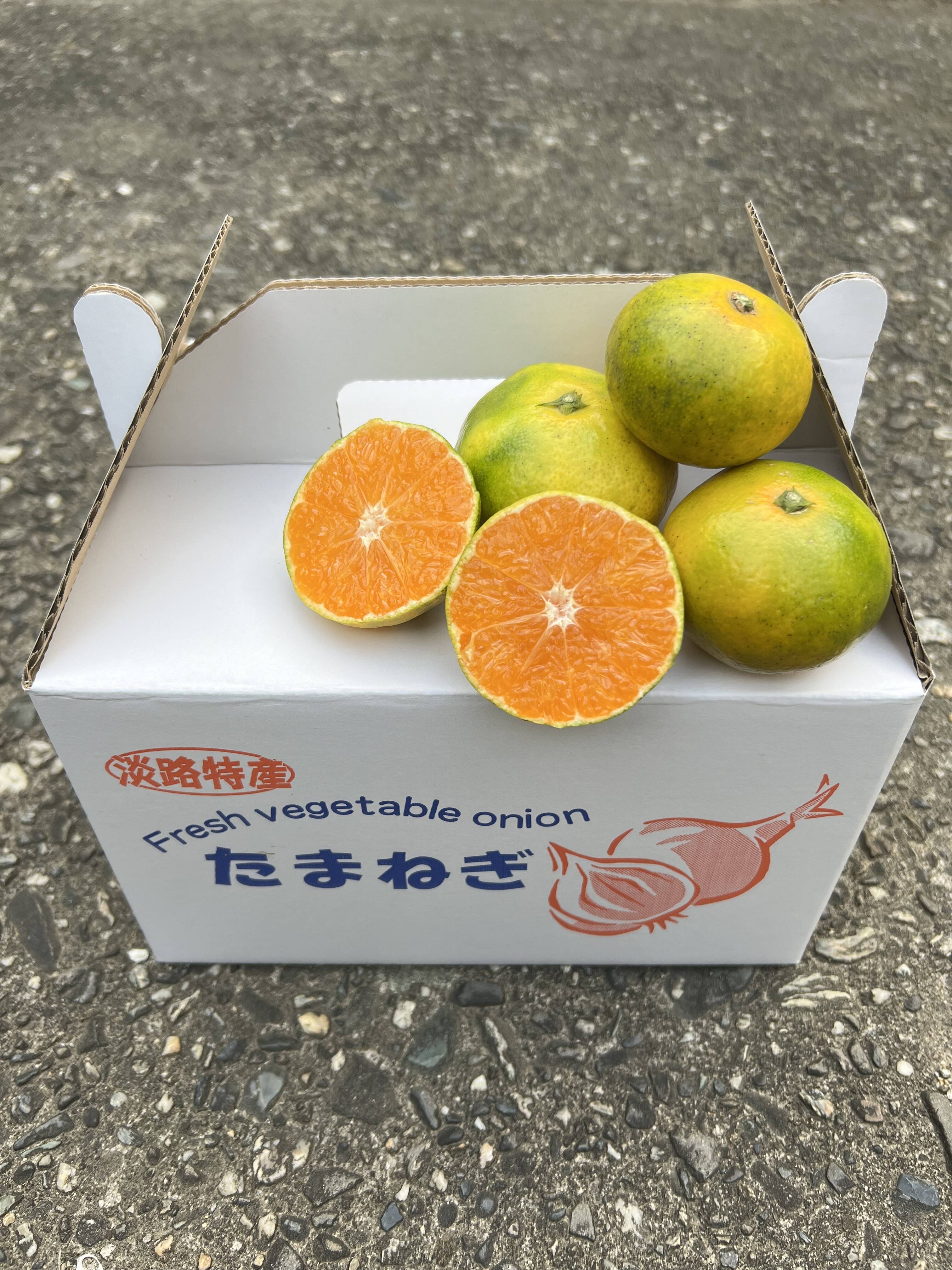 「まんでうまい」 極早生みかん 2S.S.M混合 3kg：兵庫県産のみかん・柑橘類｜食べチョク｜産地直送(産直)お取り寄せ通販 - 農家・漁師から旬の食材を直送