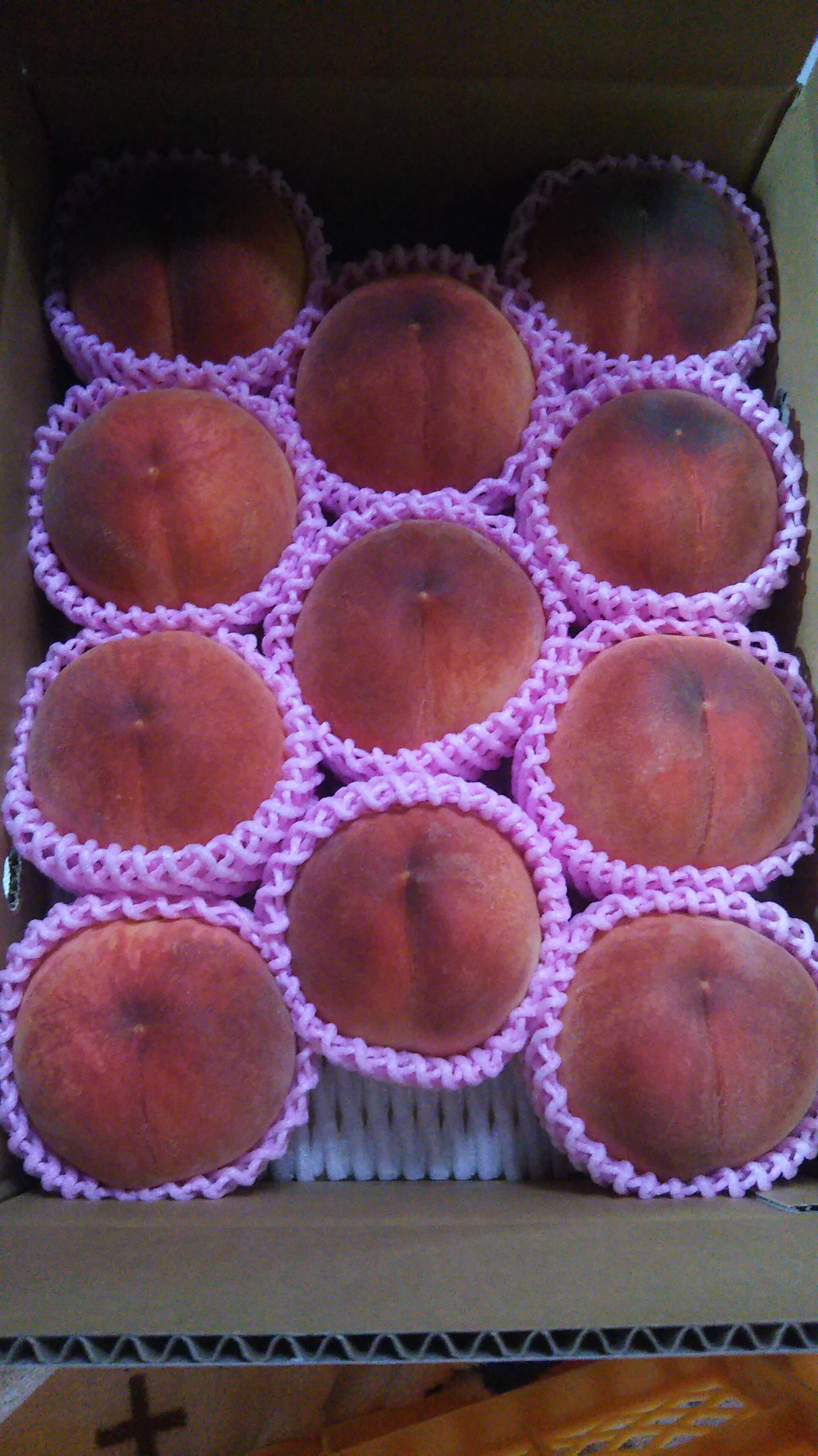 贈答用あかつき桃朝どり直送便約3kg(10〜12玉入り)：福島県産のあかつき｜食べチョク｜産地直送(産直)お取り寄せ通販 - 農家・漁師から旬の食材を直送