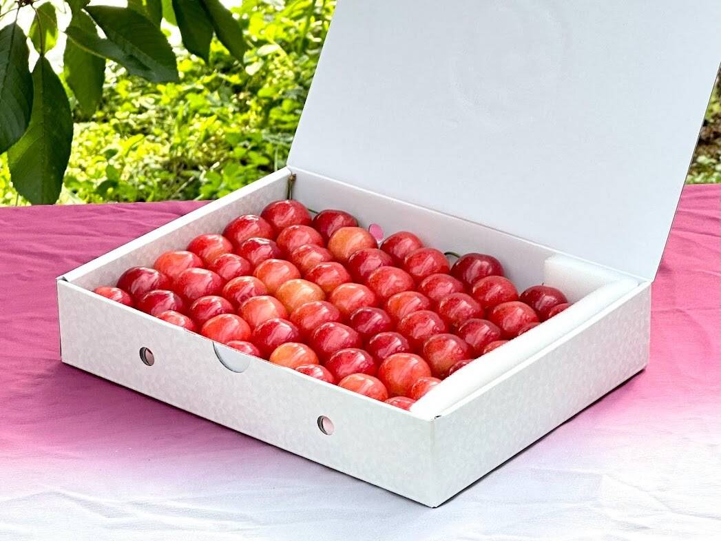 【2024先行予約】大玉で高糖度！さくらんぼ 2～3L 並べ 約700g 大玉極上品：山梨県産の佐藤錦｜食べチョク｜産地直送(産直)お取り寄せ通販 - 農家・漁師から旬の食材を直送
