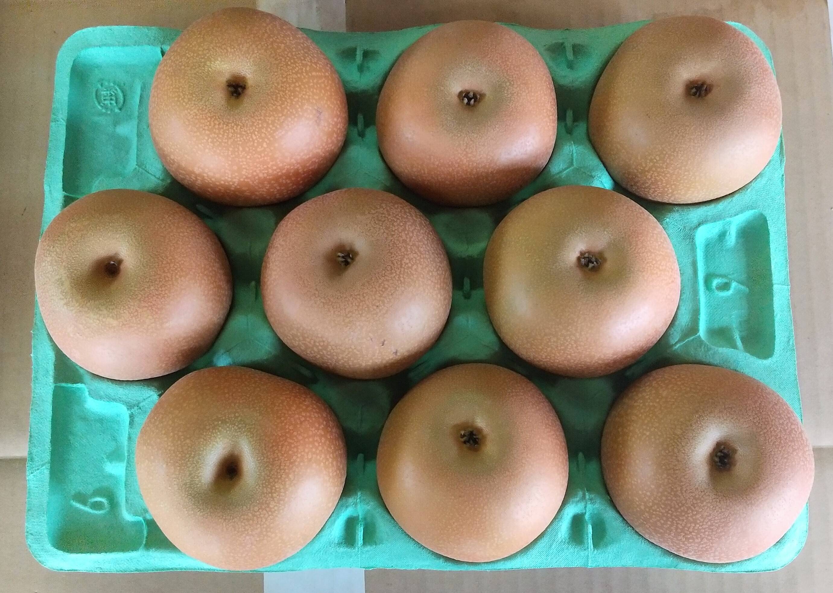 あきづき 3kg 3Lサイズ(9玉入り)：千葉県産のあきづき｜食べチョク｜産地直送(産直)お取り寄せ通販 - 農家・漁師から旬の食材を直送