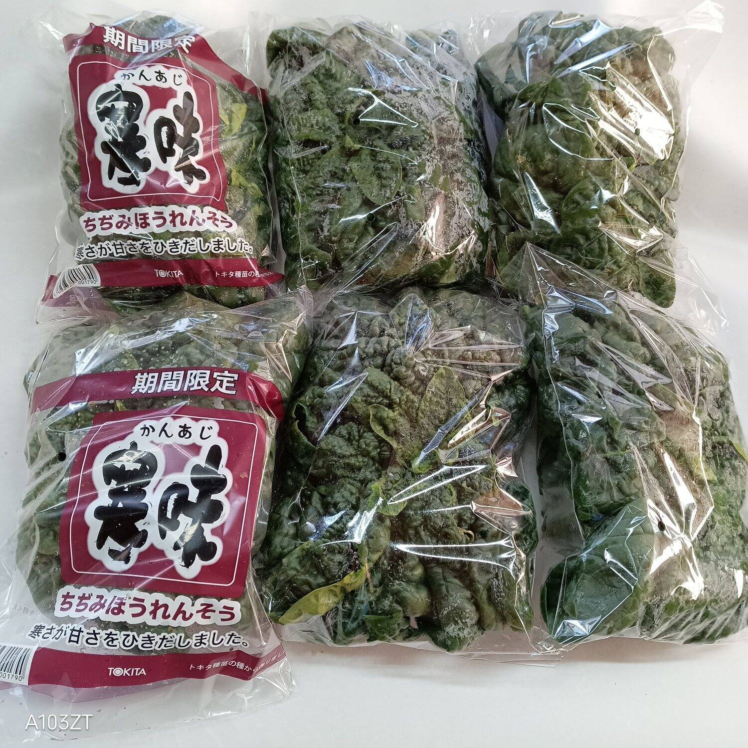冬季限定【寒締ちぢみほうれん草】6袋（1袋に200〜250g入り）合計1.2〜1.5kg：茨城県産の寒味｜食べチョク｜産地直送(産直)お取り寄せ通販 - 農家・漁師から旬の食材を直送
