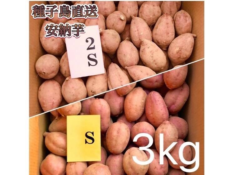 【絶品】種子島産 安納芋 2S&S 混合3kg(箱別)：鹿児島県産の安納紅｜食べチョク｜産地直送(産直)お取り寄せ通販 - 農家・漁師から旬の食材を直送