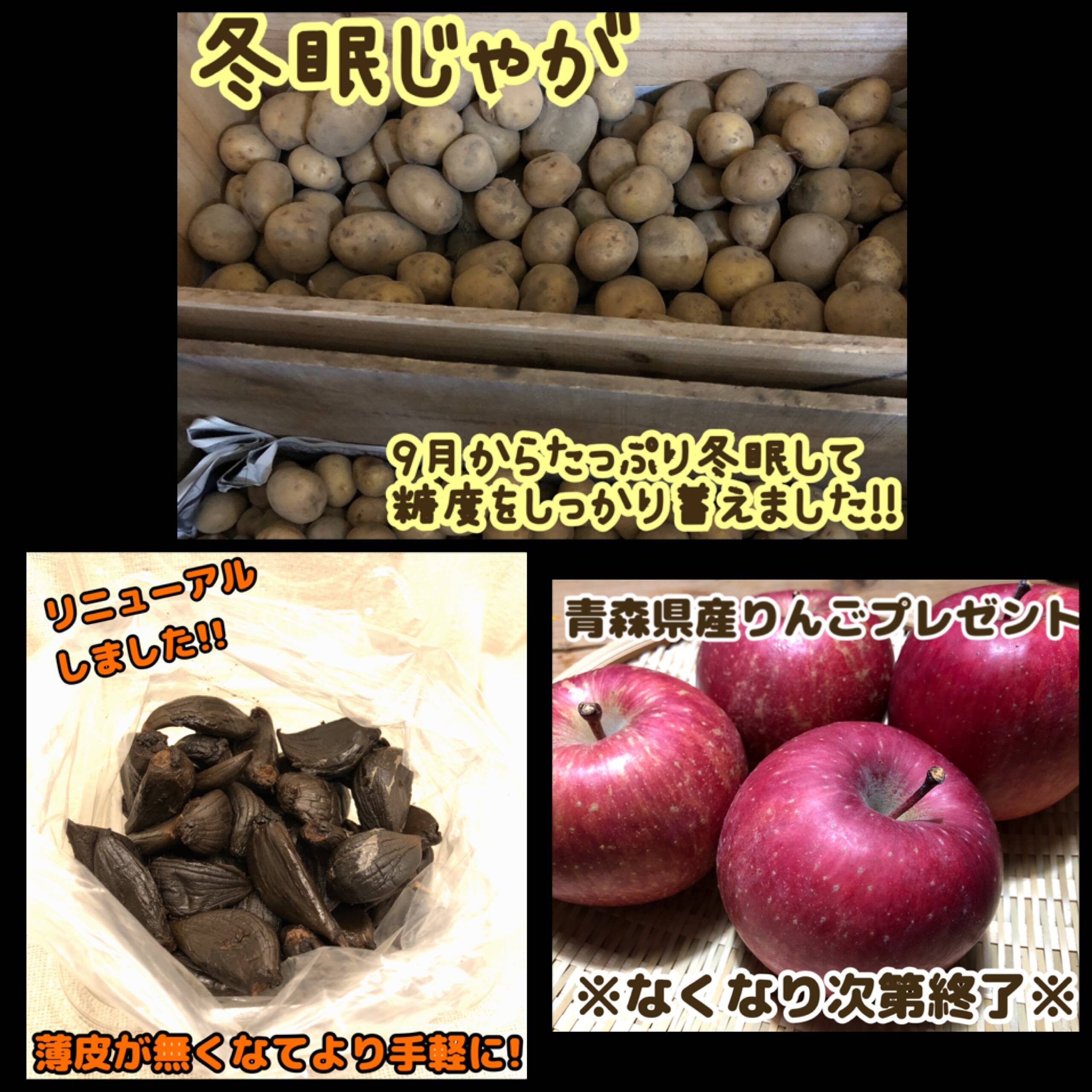 Sumi SUN farmより2月のニュース｜食べチョク｜産地直送(産直)お取り寄せ通販 - 農家・漁師から旬の食材を直送