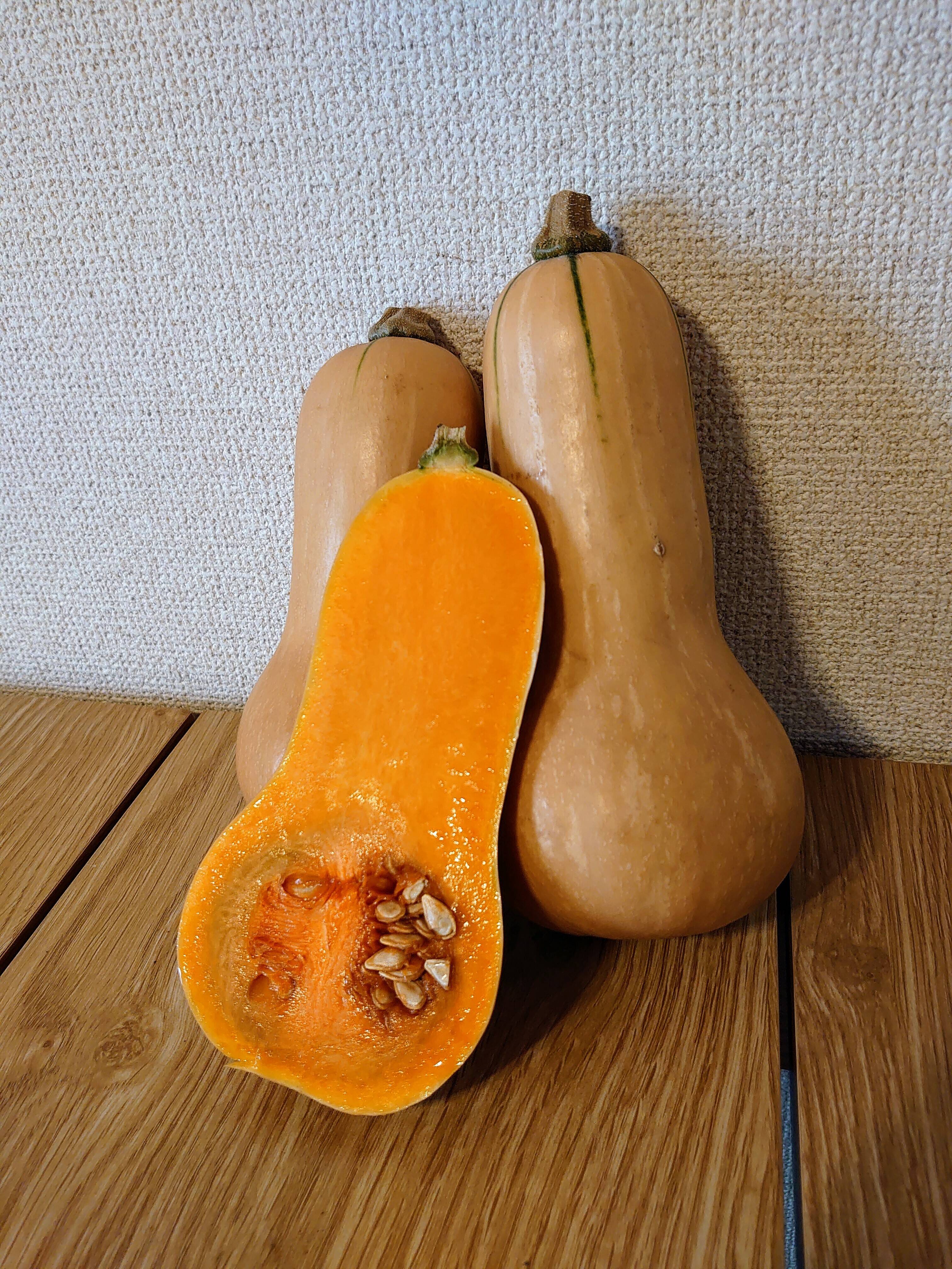 【栽培期間中農薬化学肥料なし】バターナッツかぼちゃ 1.5kg 3.0kg：千葉県産のバターナッツかぼちゃ｜食べチョク｜産地直送(産直)お取り寄せ通販 - 農家・漁師から旬の食材を直送