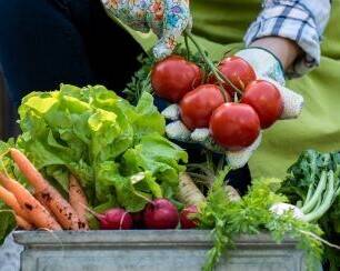 notoco農園へのレビュー・商品：千葉県｜食べチョク｜産地直送(産直)お取り寄せ通販 - 農家・漁師から旬の食材を直送