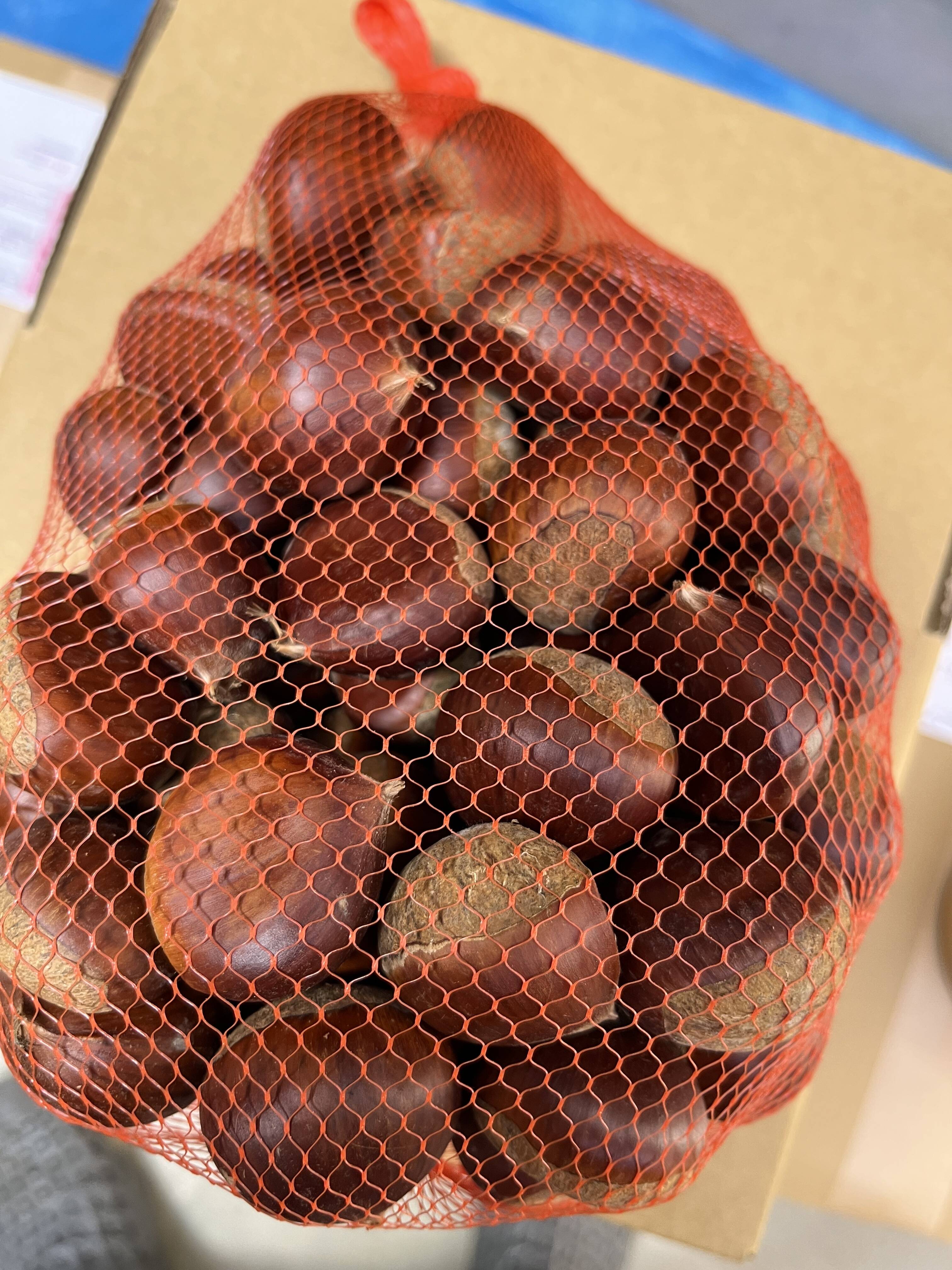 丹波栗（1kg）L〜2L：兵庫県産の丹波栗｜食べチョク｜産地直送(産直)お取り寄せ通販 - 農家・漁師から旬の食材を直送