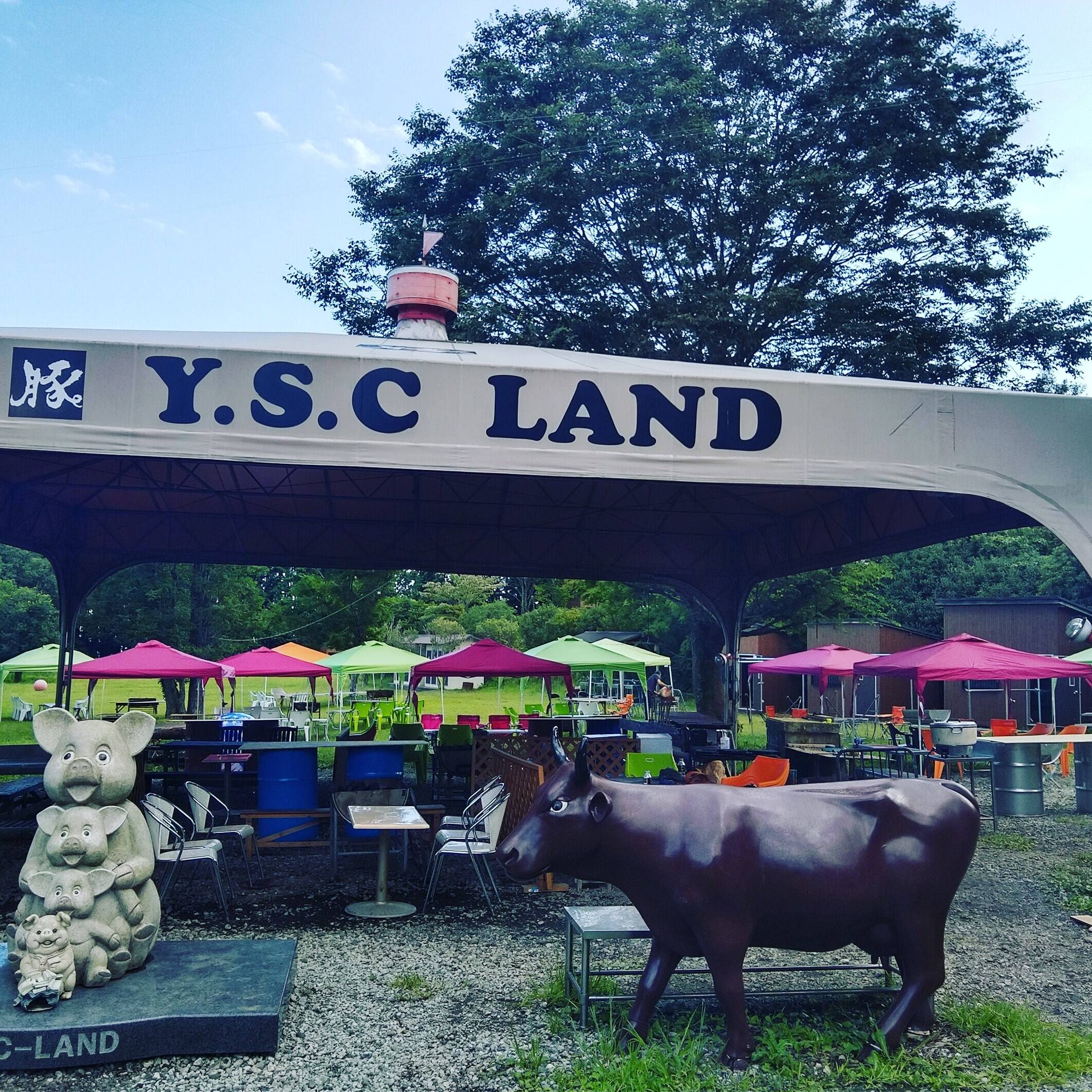 【YSC-LAND】 バーベキューセット1kg：静岡県産｜食べチョク｜農家・漁師の産直ネット通販 - 旬の食材を生産者直送