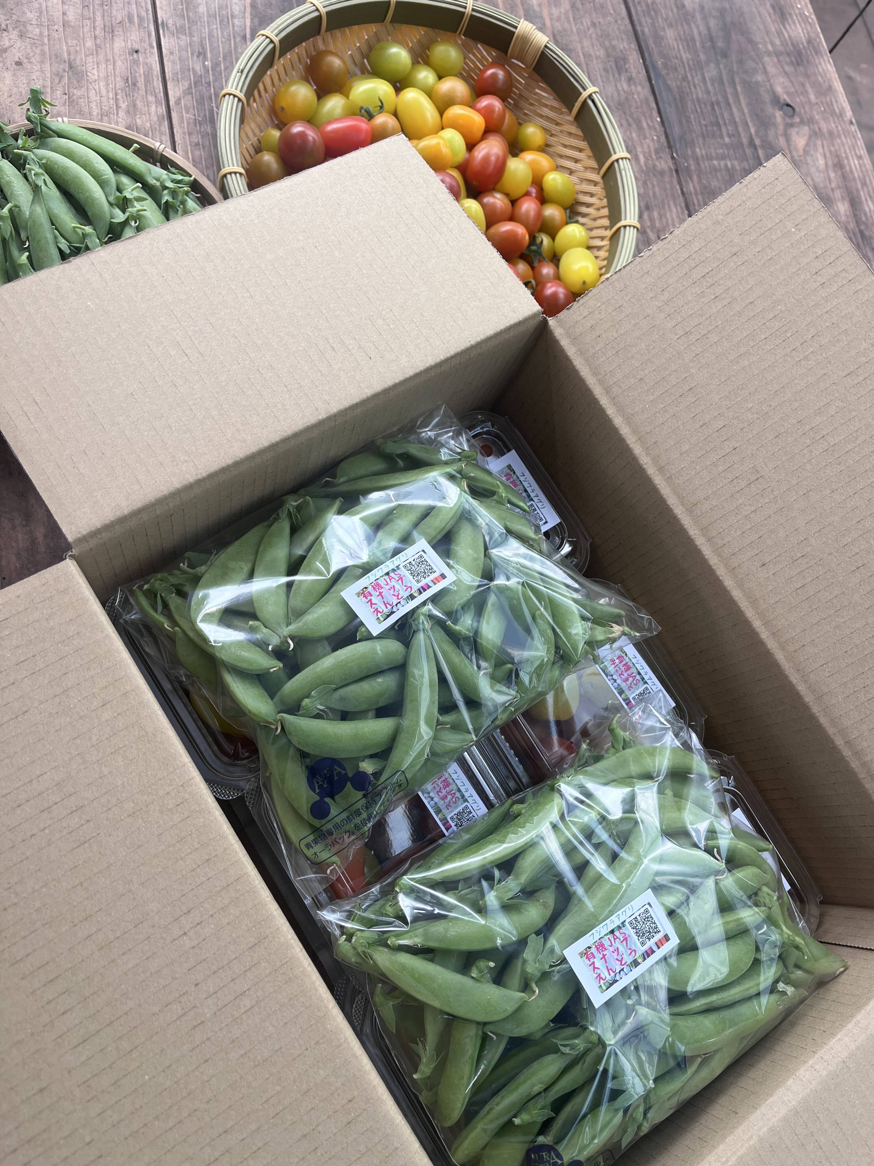 有機JAS認証⭐ミニトマトとスナップえんどう詰め合わせ⭐3.3kg⭐：栃木県産の野菜セット｜食べチョク｜産地直送(産直)お取り寄せ通販 - 農家・漁師から旬の食材を直送