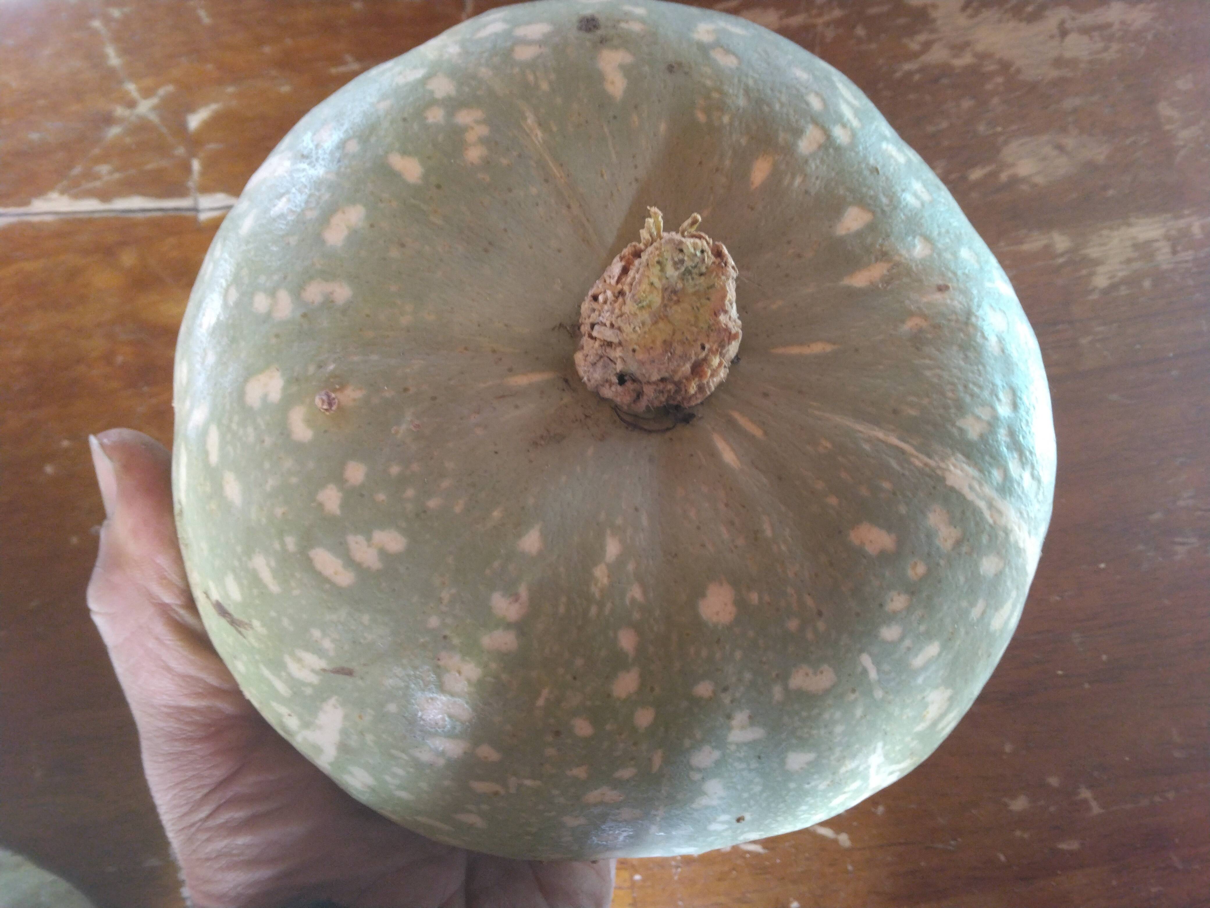 カボチャ 中（ハーフ）：長野県産の野菜｜食べチョク｜産地直送(産直)お取り寄せ通販 - 農家・漁師から旬の食材を直送