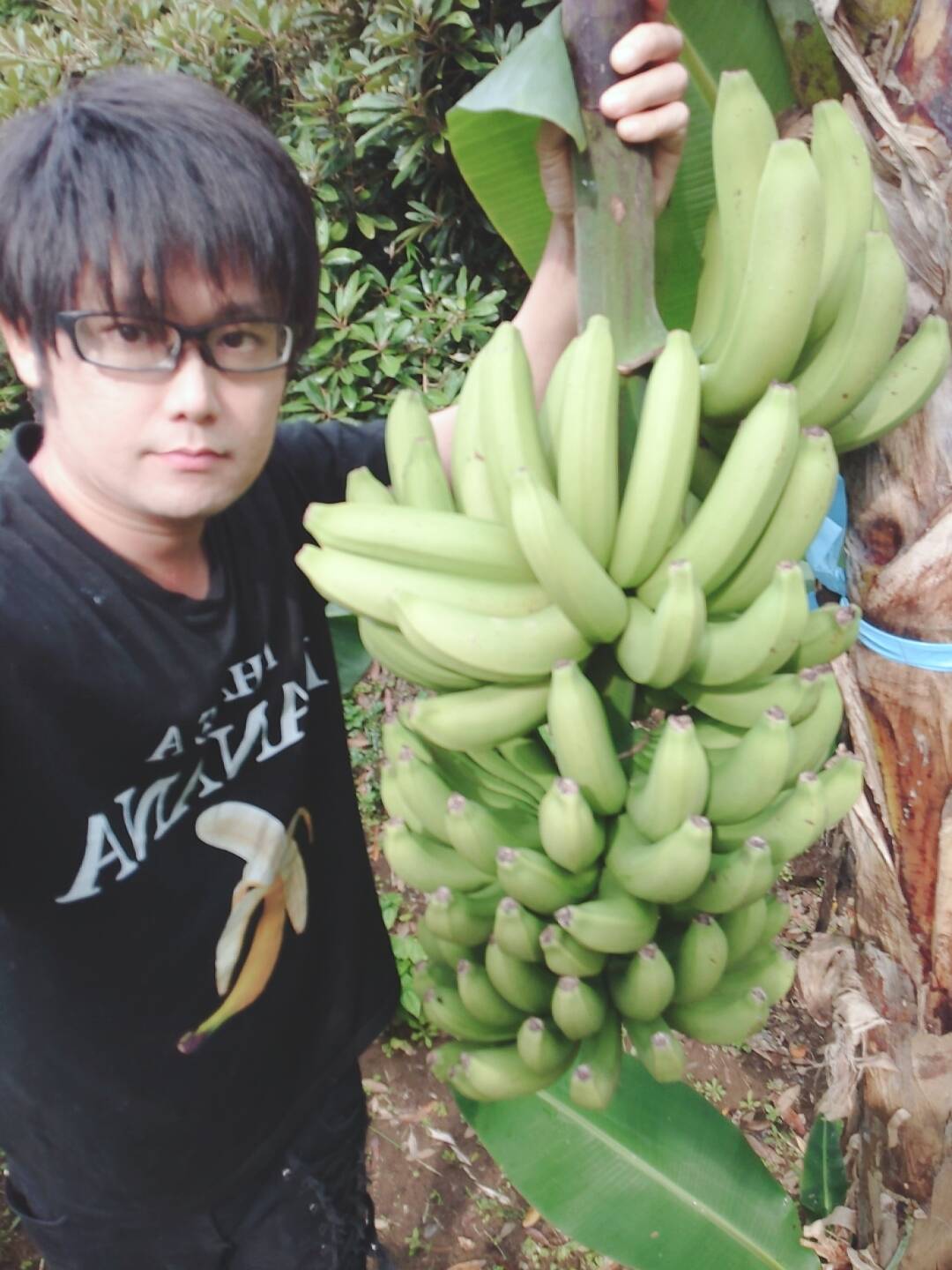 【お試し】国産バナナ プチサイズ1.8kgと安納芋2Sサイズ2kg【セット】：鹿児島県産の野菜セット｜食べチョク｜産地直送(産直)お取り寄せ通販 - 農家・漁師から旬の食材を直送