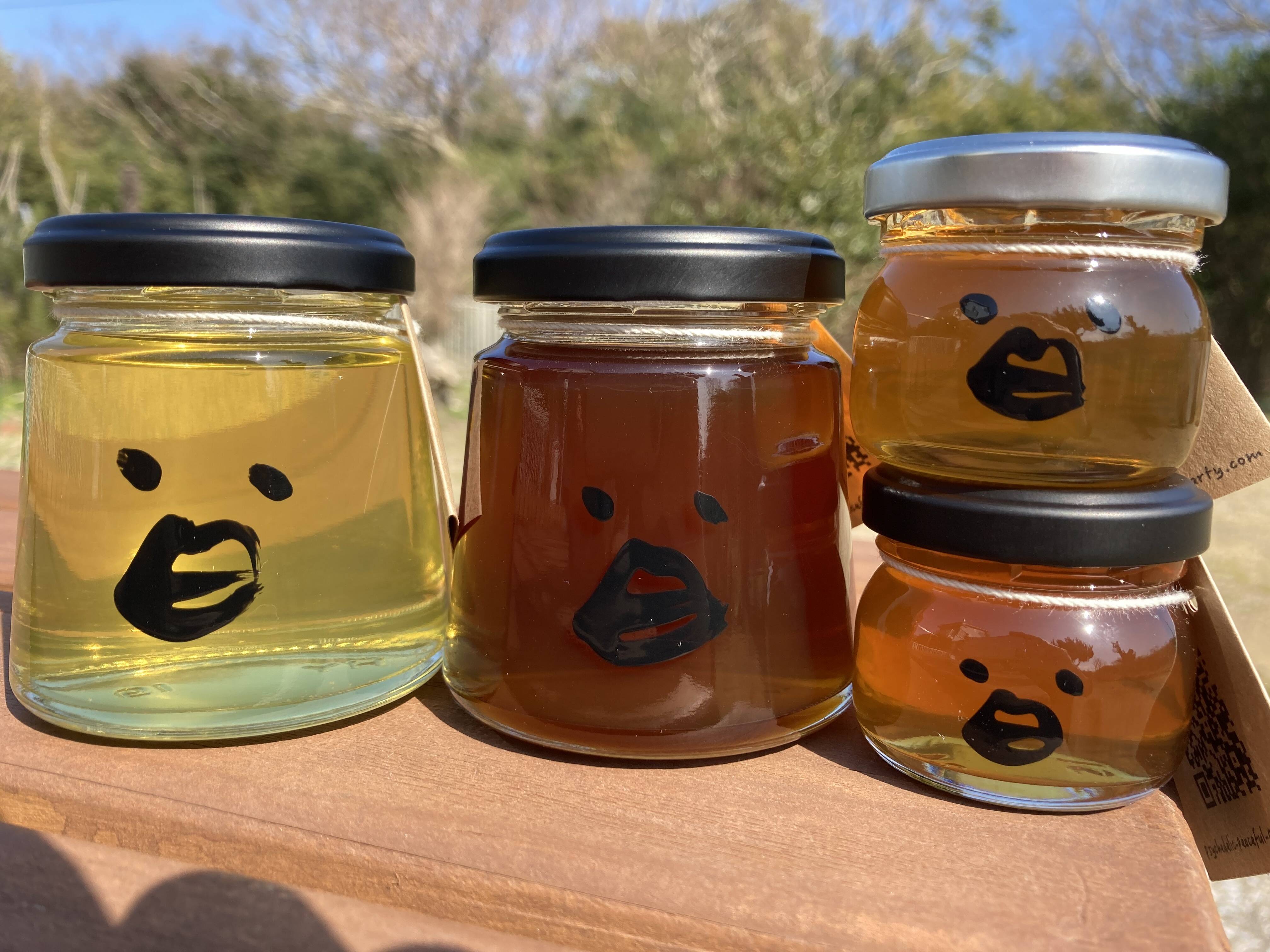 ハチミツさん【福袋】 160g2本40g2本：千葉県産のはちみつ｜食べチョク｜産地直送(産直)お取り寄せ通販 - 農家・漁師から旬の食材を直送