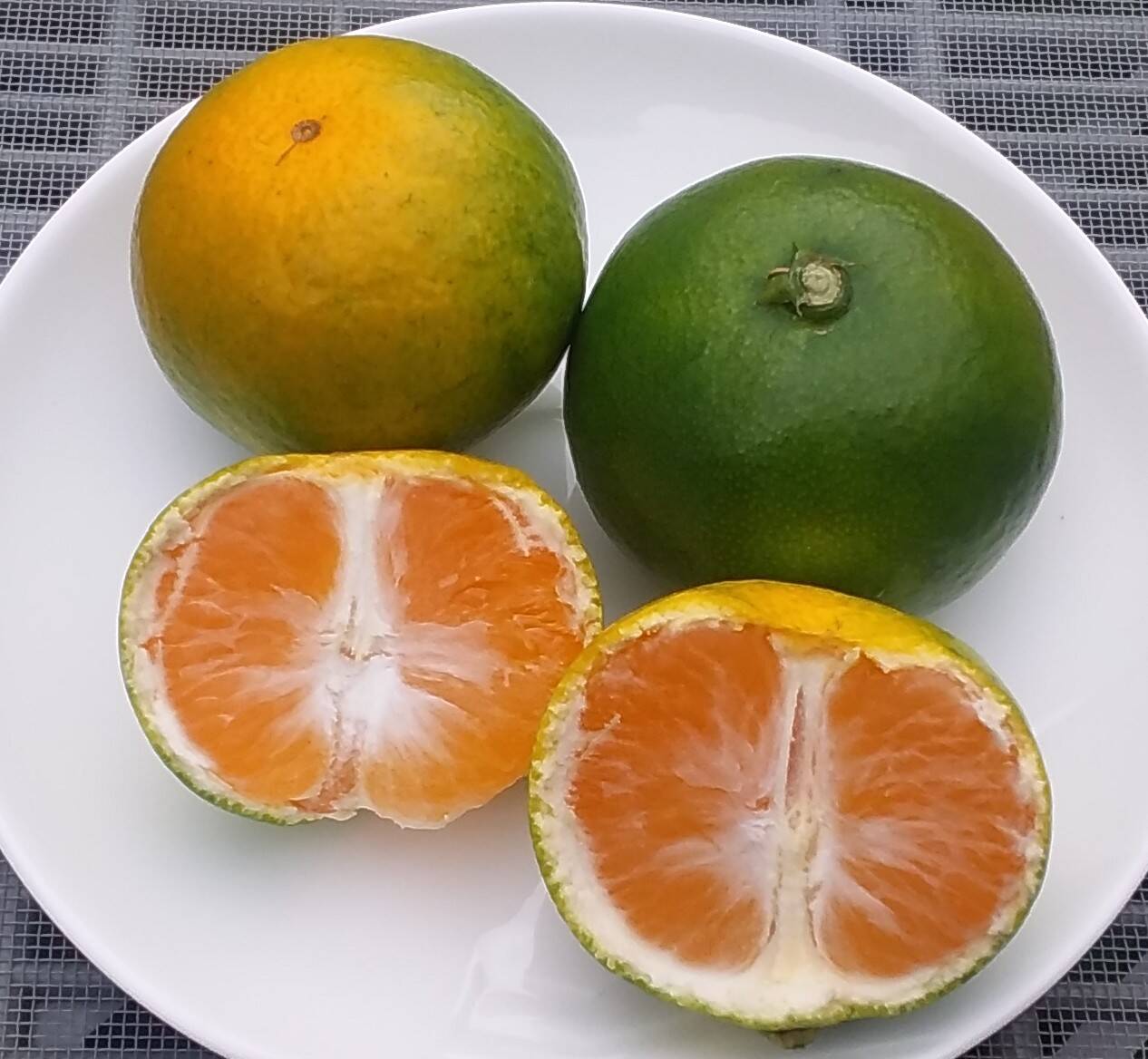 【小粒みかん】極早生品種YN26(2kg)和歌山産：大阪府産のみかん・柑橘類｜食べチョク｜産地直送(産直)お取り寄せ通販 - 農家・漁師から旬の食材を直送