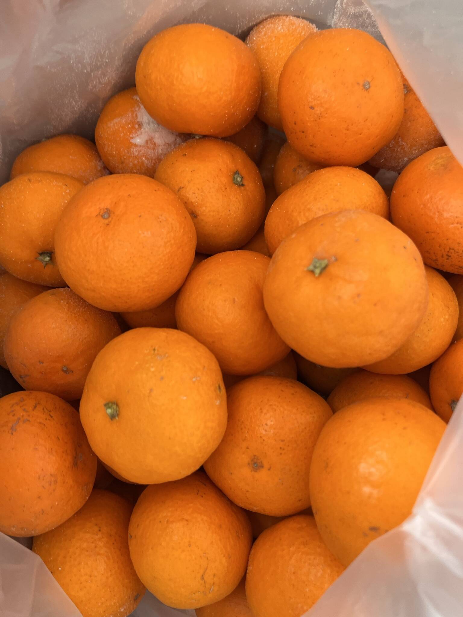 三ヶ日みかん 冷凍みかん サイズ2S～2Lサイズ サイズの指定不可 約2kg 国産 温州みかん 蜜柑 ミカン フルーツ 果物 デザート シャーベット スイーツ ギフト おやつ 冷凍フルーツ ...