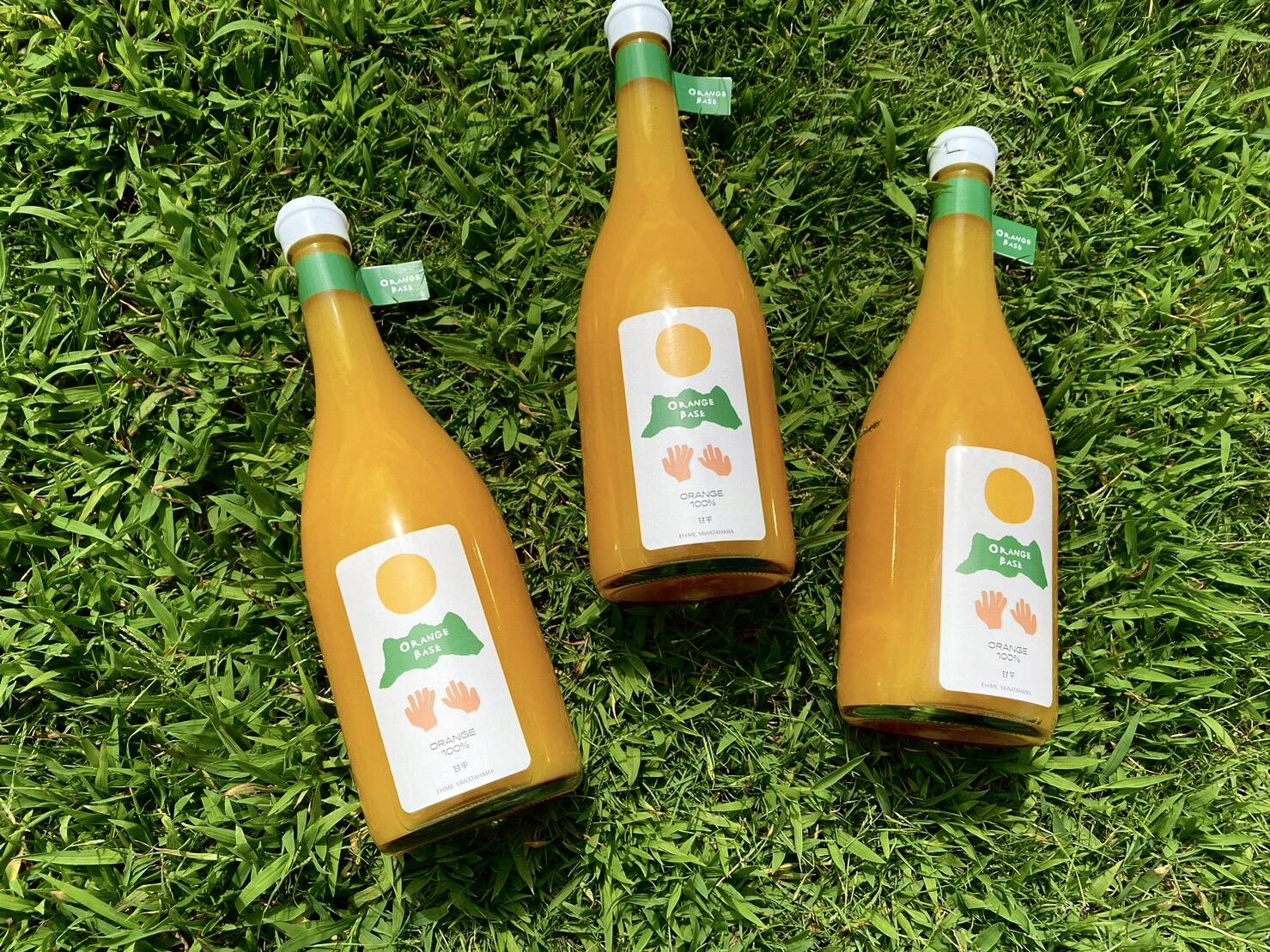 【夏ギフト】暁みかん100%ストレートジュース 720ml（4本入り）：愛媛県産のみかん・柑橘類｜食べチョク｜産地直送(産直)お取り寄せ通販 - 農家・漁師から旬の食材を直送