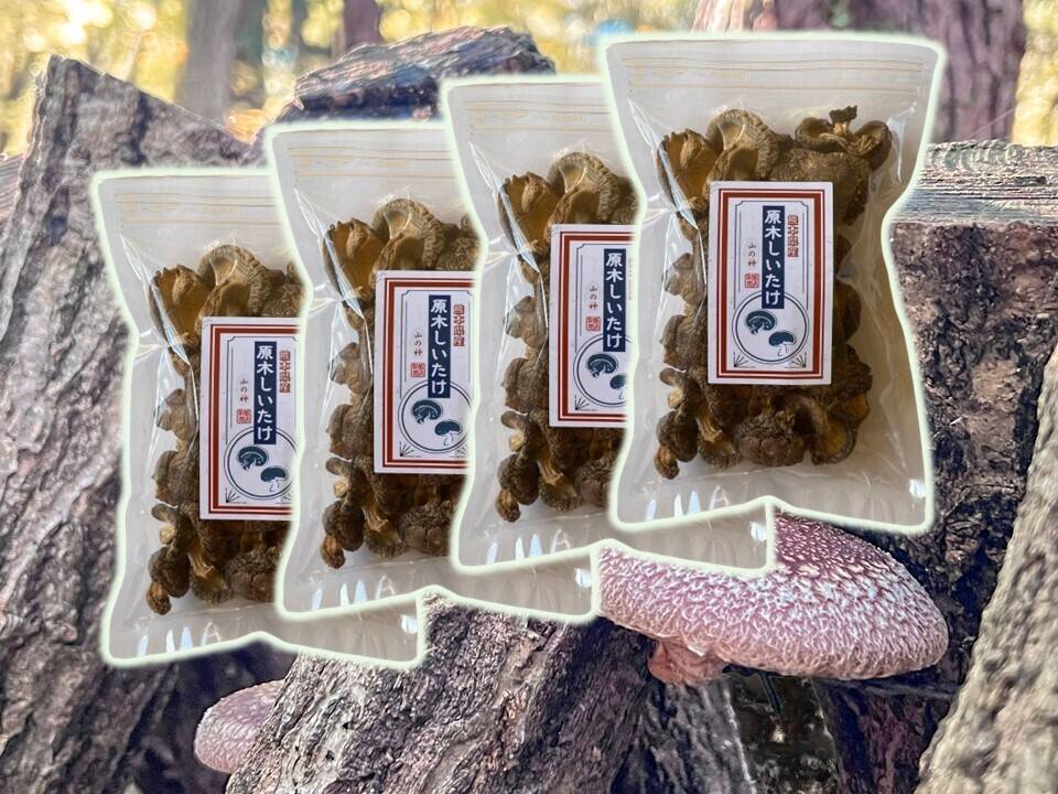 うまさ凝縮！熊本県産原木乾燥しいたけ【小袋】280g（70g×4個）：熊本県産の加工品｜食べチョク｜産地直送(産直)お取り寄せ通販 - 農家・漁師から旬の食材を直送