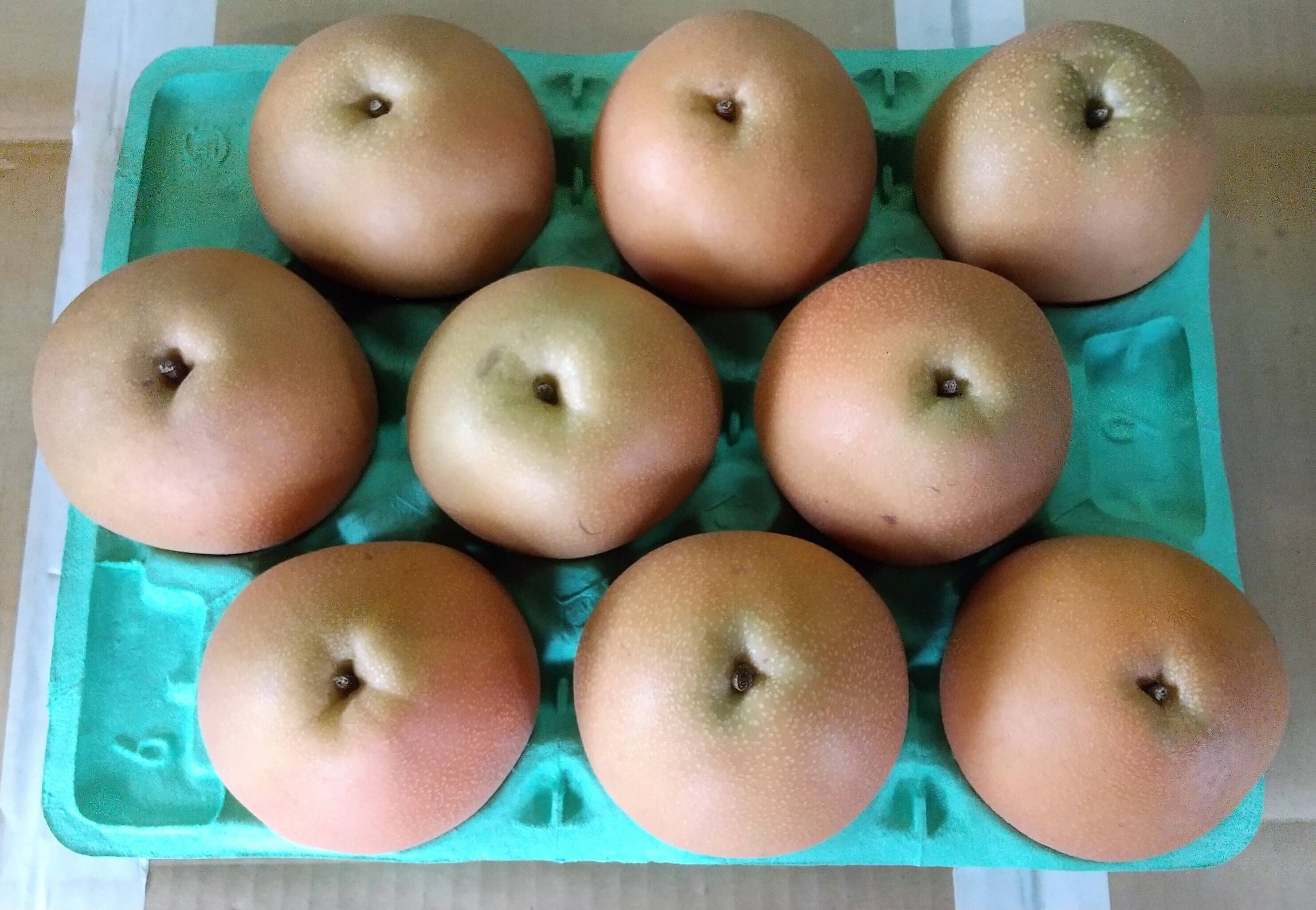 にっこり 3kg 3Lサイズ(9玉入り)：千葉県産のにっこり｜食べチョク｜産地直送(産直)お取り寄せ通販 - 農家・漁師から旬の食材を直送