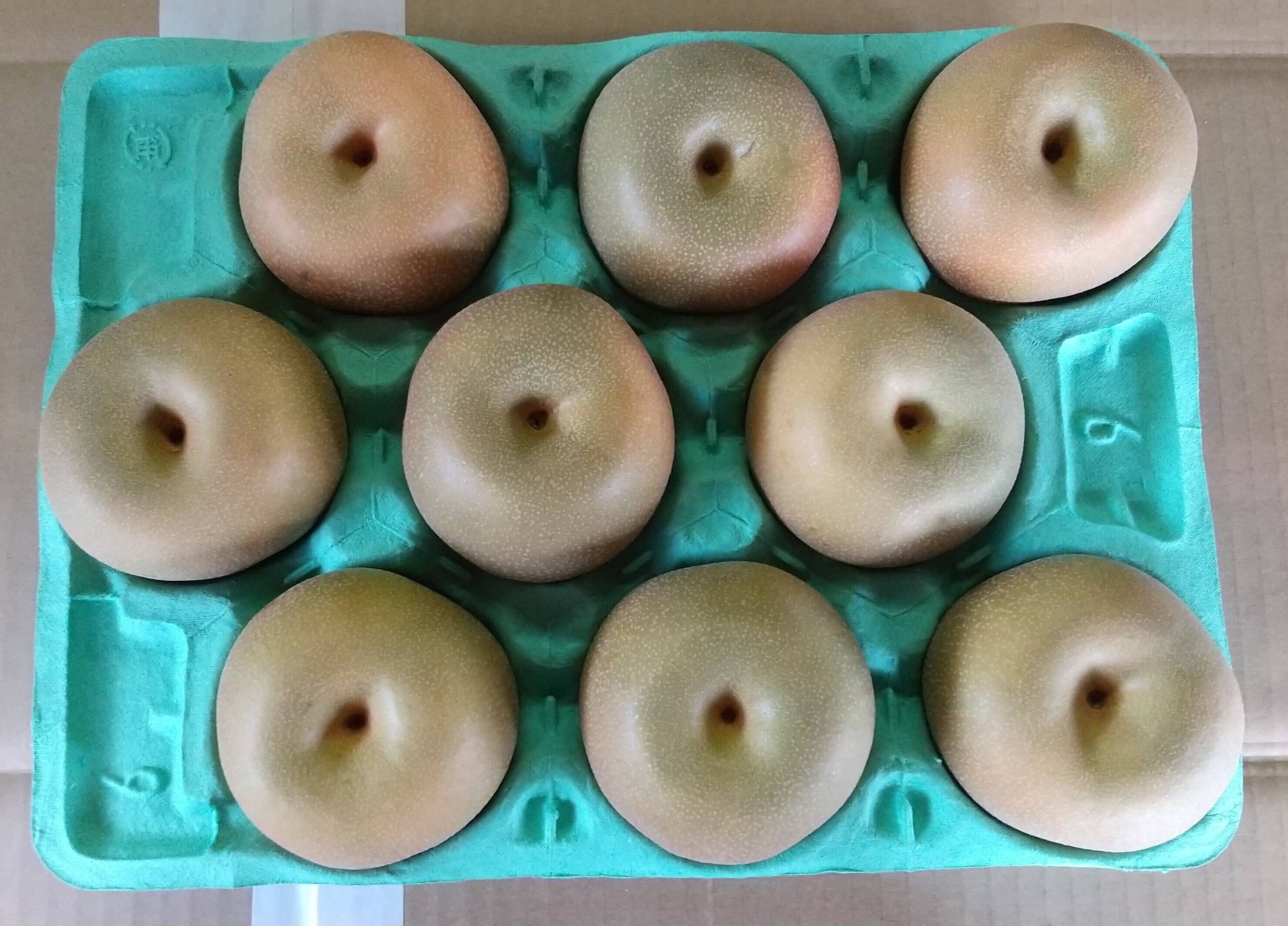 【贈答用にも 】幸水 3kg 3Lサイズ(9玉入)：千葉県産の幸水｜食べチョク｜産地直送(産直)お取り寄せ通販 - 農家・漁師から旬の食材を直送