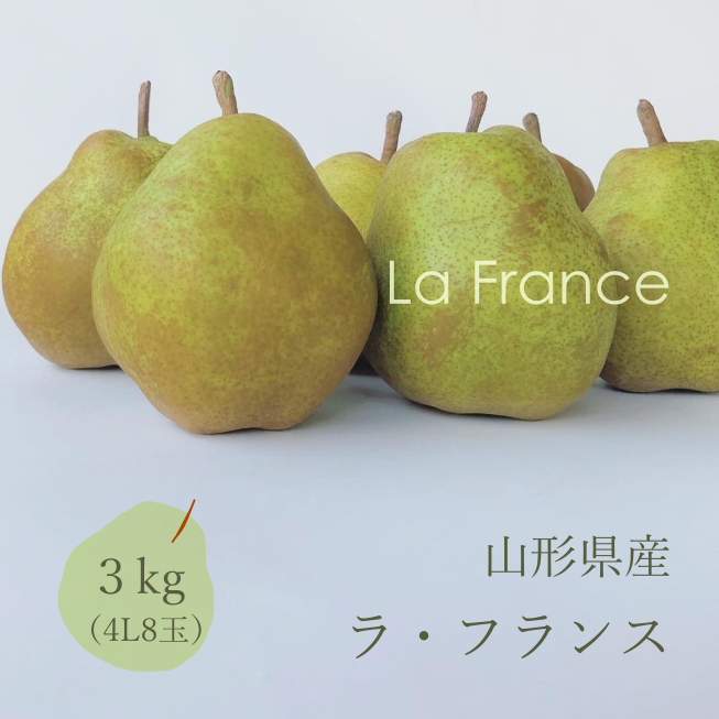 洋梨「ラ・フランス」3kg 4L：山形県産のラ・フランス｜食べチョク｜産地直送(産直)お取り寄せ通販 - 農家・漁師から旬の食材を直送