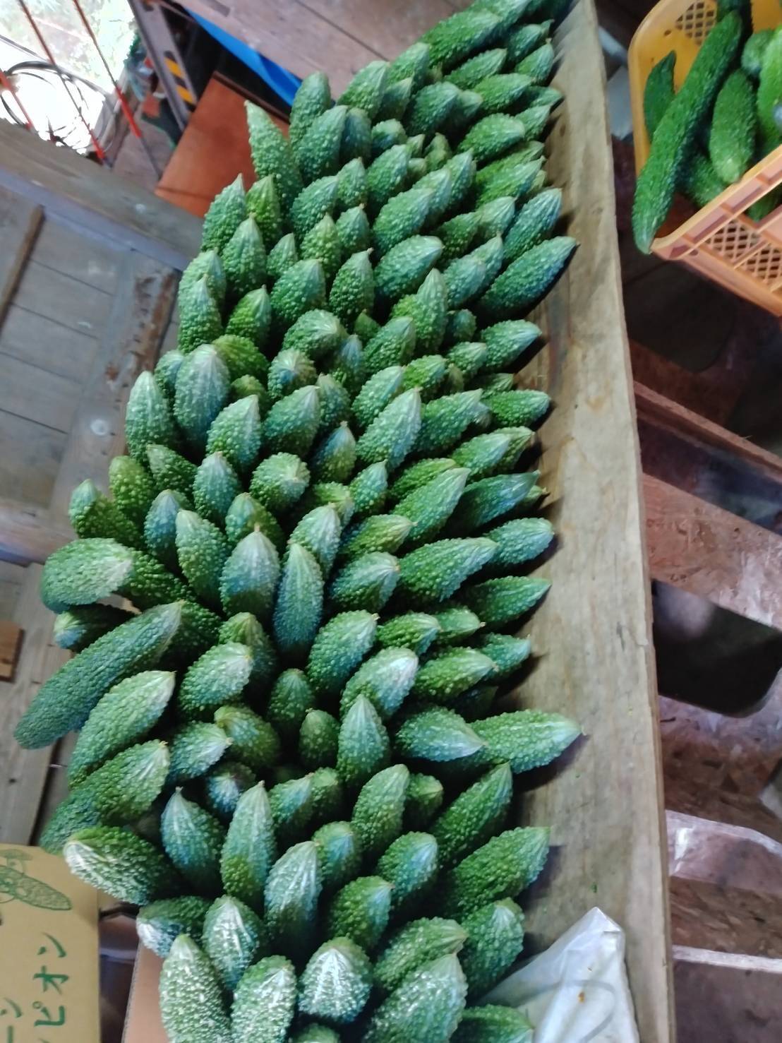 比良農園 HIRA Farmへのレビュー・商品：鹿児島県｜食べチョク｜産地直送(産直)お取り寄せ通販 - 農家・漁師から旬の食材を直送