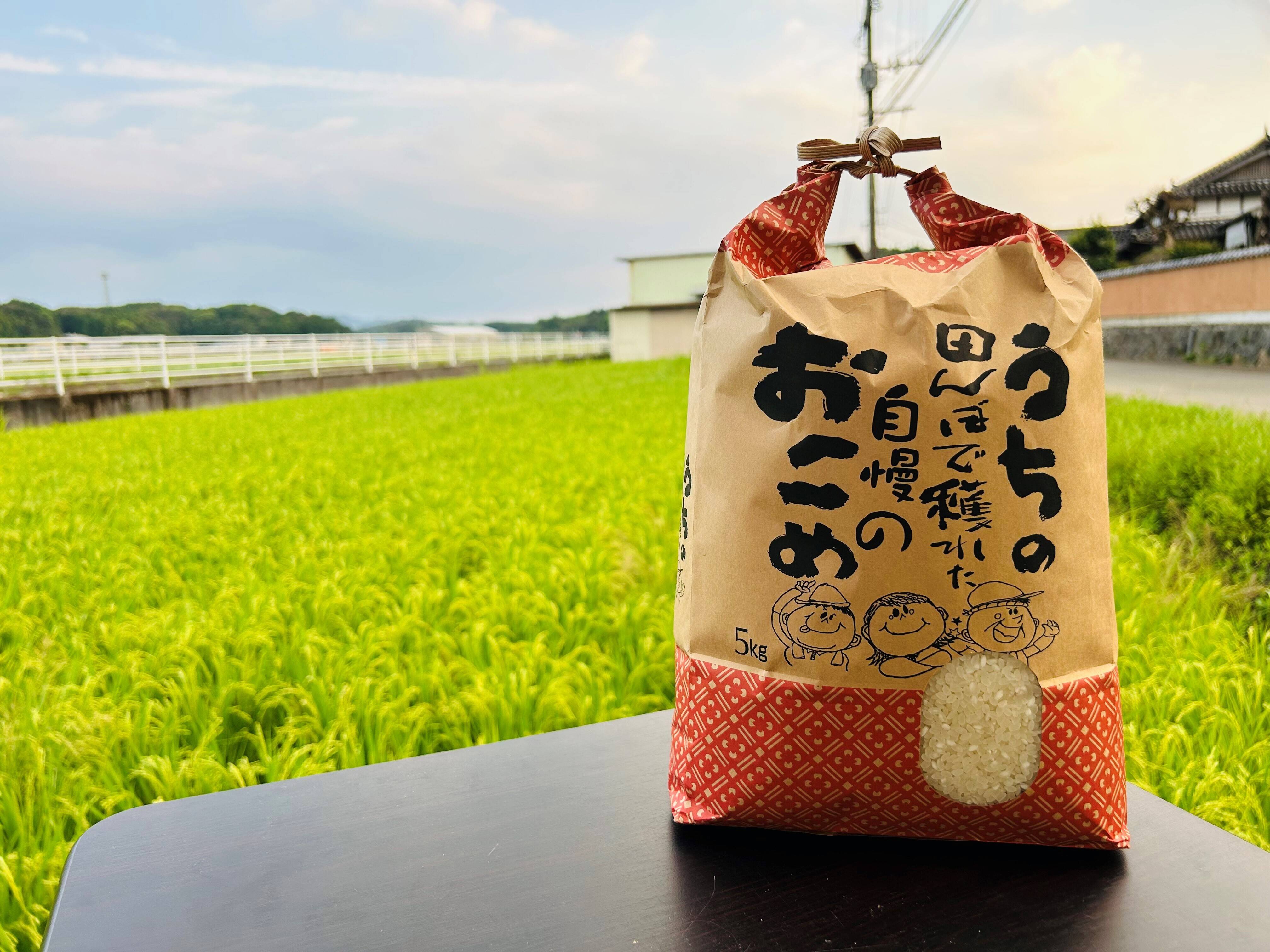 令和7年新米予約！！ 歓喜の風 白米9Kg 【福岡の農家直売】：福岡県産のお米｜食べチョク｜産地直送(産直)お取り寄せ通販 - 農家・漁師から旬の食材を直送