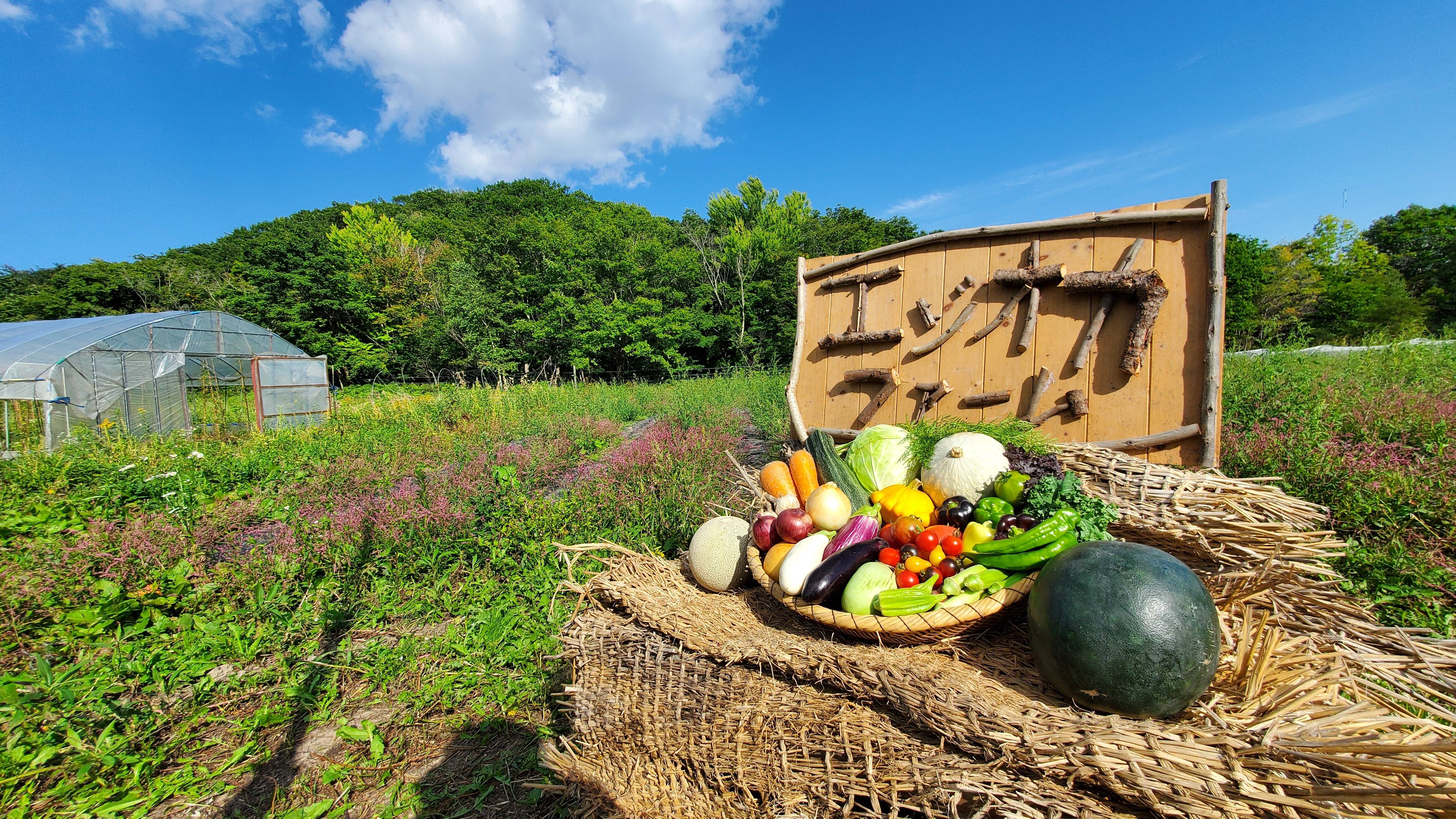 EZO･OKA farm（エゾ·オカ ファーム）へのレビュー・商品：北海道｜食べチョク｜産地直送(産直)お取り寄せ通販 - 農家・漁師から旬の ...