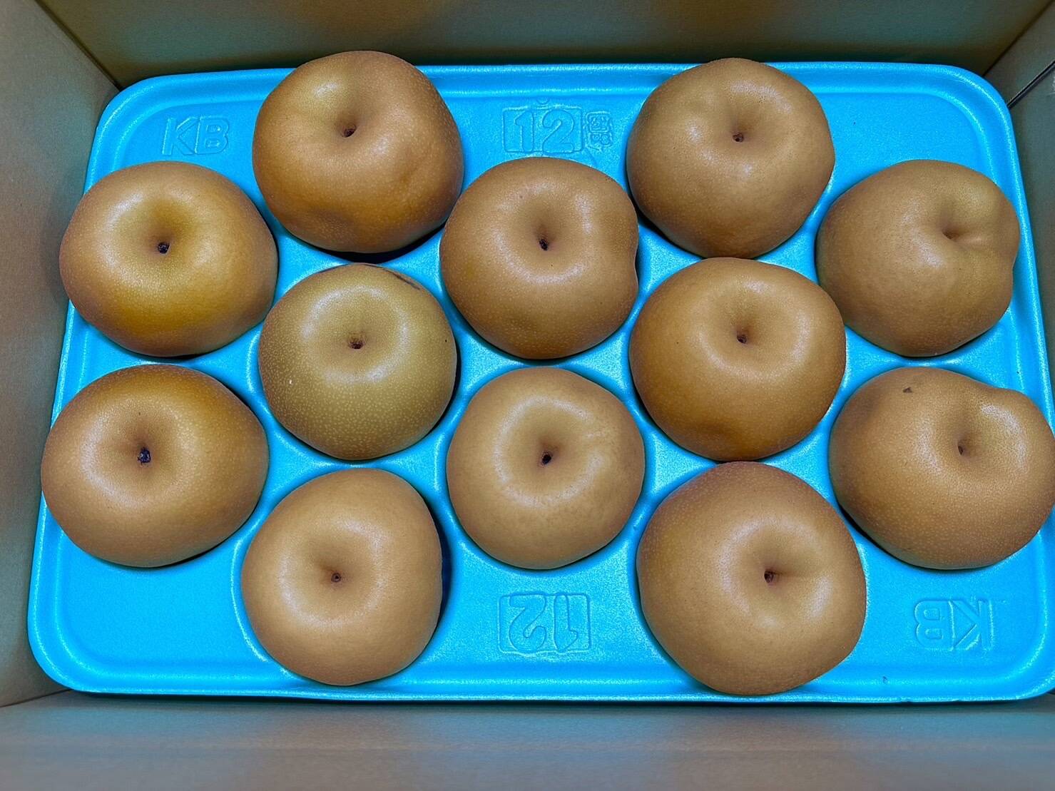 梨の最北 秋田県の南水 訳あり品 5kg(10～12玉) 写真イメージ：秋田県産の南水｜食べチョク｜産地直送(産直)お取り寄せ通販 - 農家・漁師から旬の食材を直送