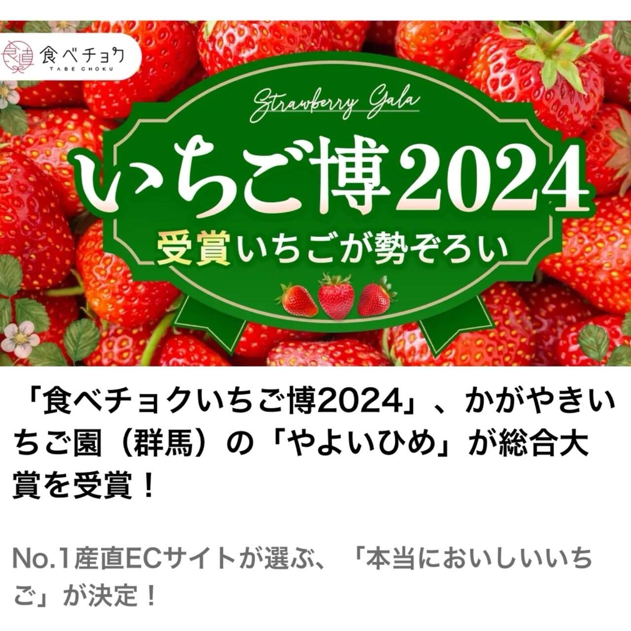 食べチョクいちご博2024 総合大賞受賞!|食べチョク|産地直送産直お取り寄せ通販 農家・漁師から旬の食材を直送