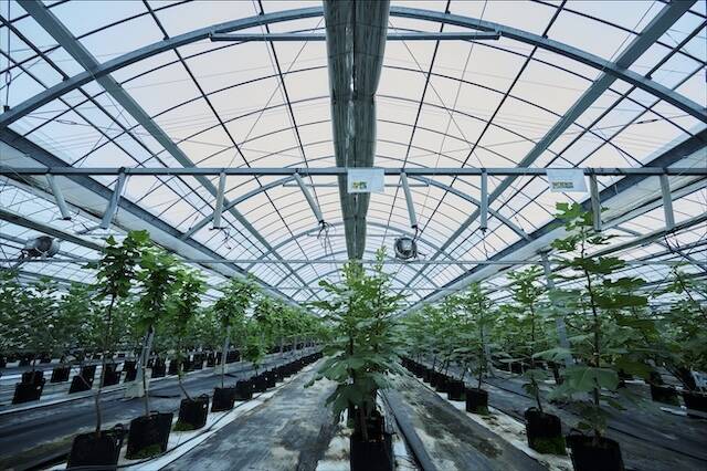 THE SIMIZへのレビュー・商品：三重県｜食べチョク｜産地直送(産直)お取り寄せ通販 - 農家・漁師から旬の食材を直送