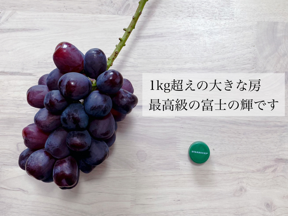 【贈答対応】特大！希少品種最大級!『富士の輝』900g越1房*限定1日5個限定：山梨県産の富士の輝｜食べチョク｜産地直送(産直)お取り寄せ通販 ...