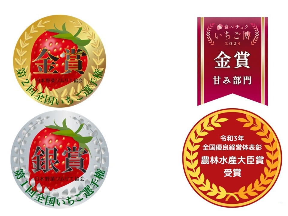 あまりん 食べチョクいちご博「金賞」2パック 500グラム 16粒～30粒：埼玉県産のあまりん｜食べチョク｜産地直送産直お取り寄せ通販 農家・漁師から旬の食材を直送 