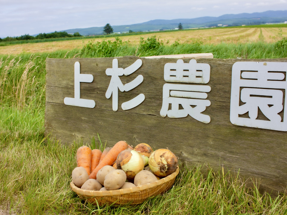 【有機JAS認証】北海道産の元気な土で育ったにんじん（3kg）早出し：北海道産の品種おまかせ｜食べチョク｜産地直送(産直)お取り寄せ通販 - 農家・漁師から旬の食材を直送