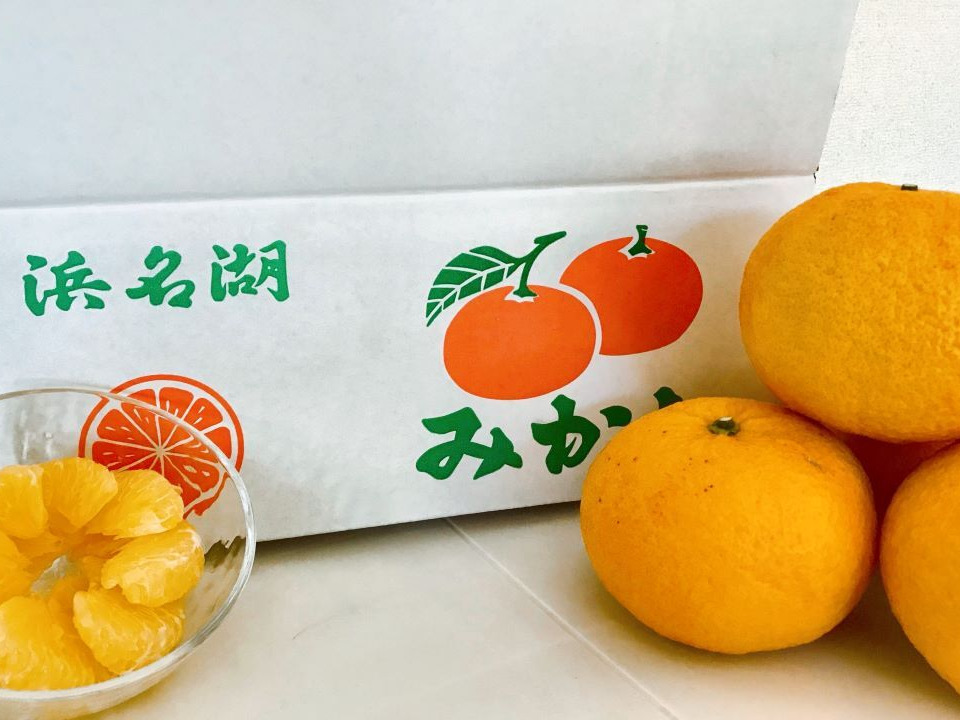 【甘夏みかん】大玉L・ 2L・3L ・4Lミックス ! 4kg：静岡県産のみかん・柑橘類｜食べチョク｜産地直送(産直)お取り寄せ通販 - 農家・漁師から旬の食材を直送