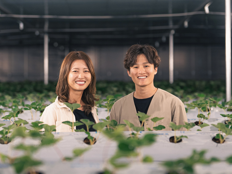 爽やかな香り！かおり野2P お得なご家庭用！ 230g×2p 【冬ギフト】：山梨県産のかおり野｜食べチョク｜産地直送(産直)お取り寄せ通販 - 農家・漁師から旬の食材を直送