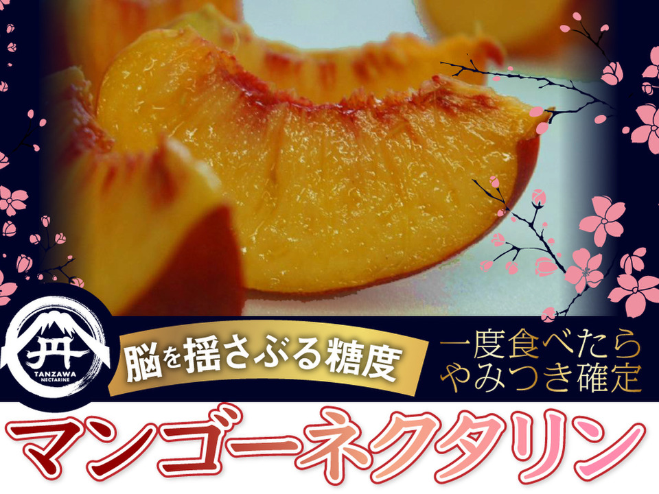 【一度食べたら忘れられない衝撃の桃】完熟マンゴーネクタリン大容量約2kg6～9個☆お中元ギフトや贈り物に最適！贅沢な朝どれの高級ももを家庭用にも🍑8月上旬発送🍑：山梨県産のネクタリン｜食べ ...