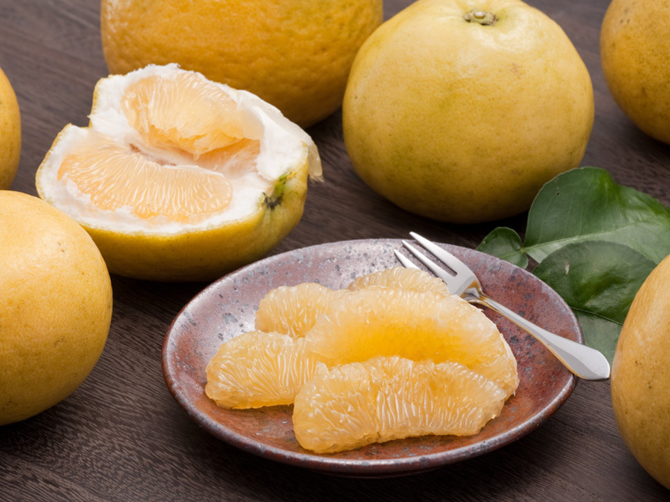 【ギフト用5kg】夏文旦 濃厚でジューシー！潮風を浴びた南国高知県育ちの夏文旦 柑橘みかん オレンジ：高知県産のみかん・柑橘類｜食べチョク ...