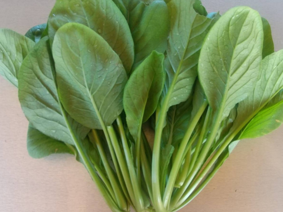 【未来をつくる笑み野菜】宮崎県産☆季節のお野菜セットM(8～9品程度)☆：宮崎県産の野菜セット｜食べチョク｜産地直送(産直)お取り寄せ通販 ...