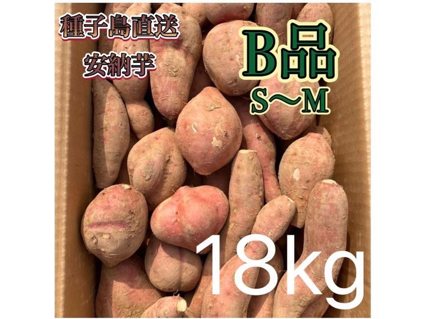 【絶品】aimo農園｜種子島産安納芋 B品(S~Mサイズ) 18kg(箱別)：鹿児島県産の安納紅｜食べチョク｜産地直送(産直)お取り寄せ通販 - 農家・漁師から旬の食材を直送