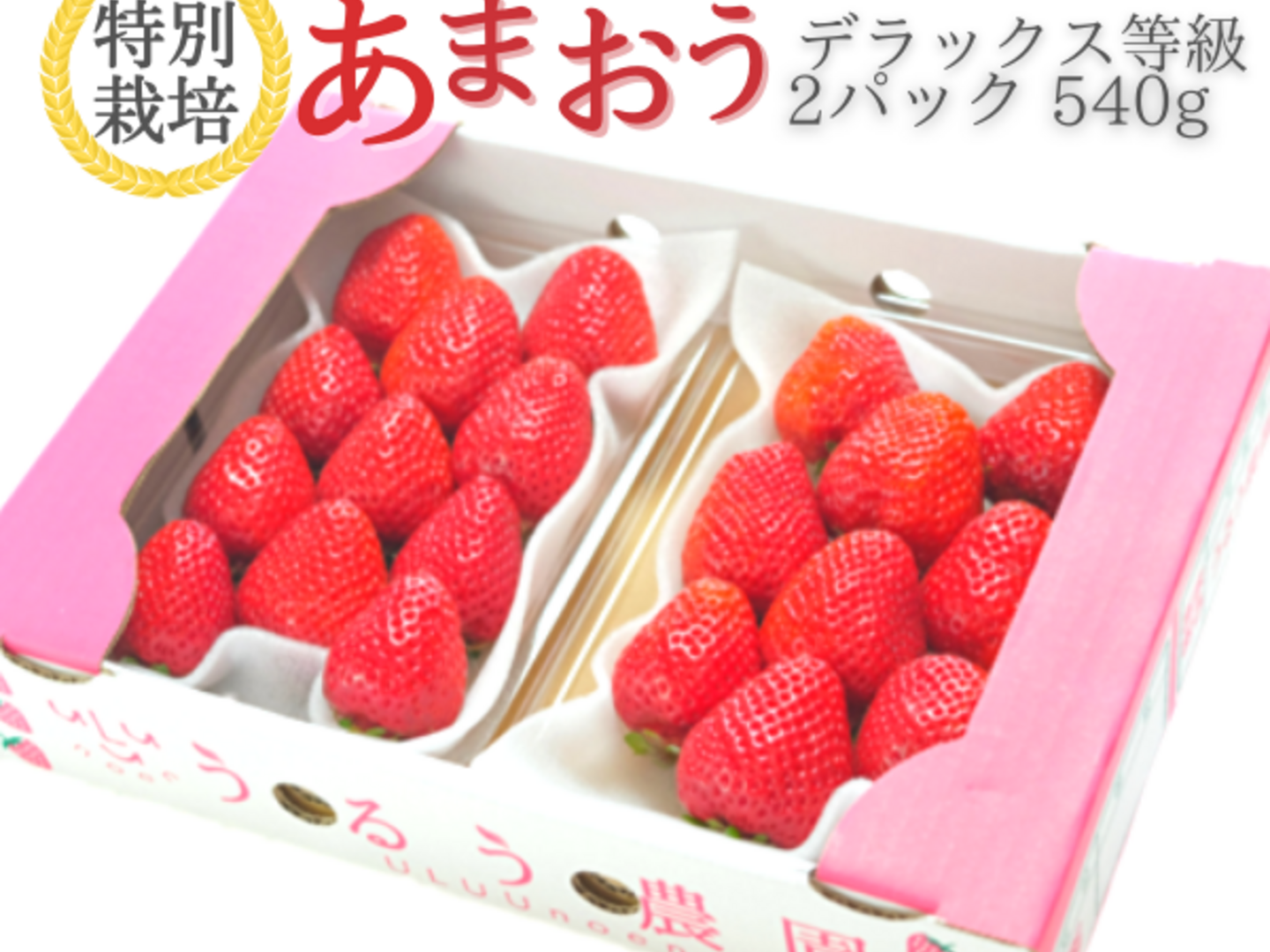 いちごの王様！あまおう苺 人気サイズ 270g×2パック：福岡県産のあまおう｜食べチョク｜産地直送(産直)お取り寄せ通販 - 農家・漁師から旬 ...